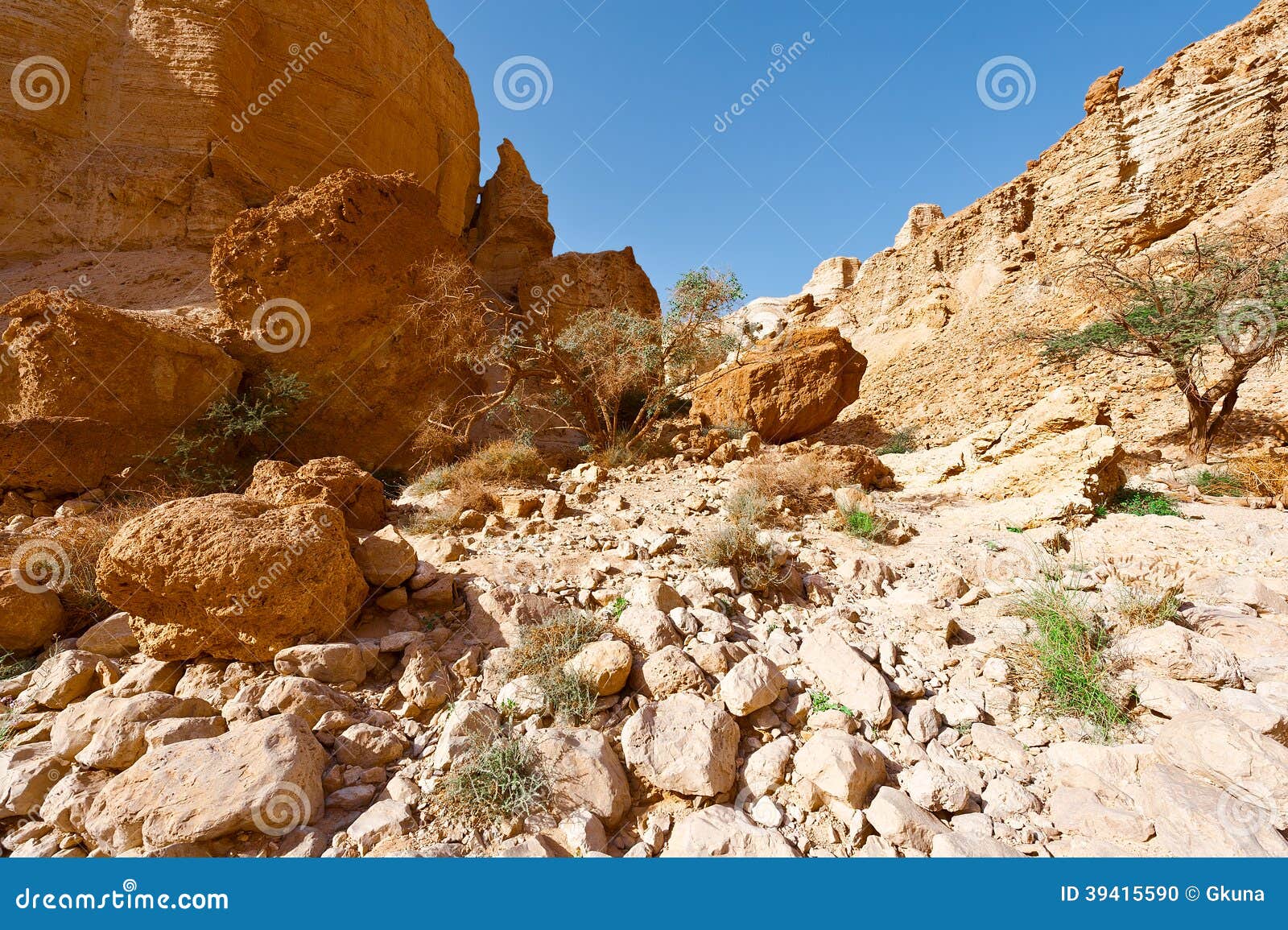 Riverbed stock photo. Image of ground, reserve, judean - 39415590