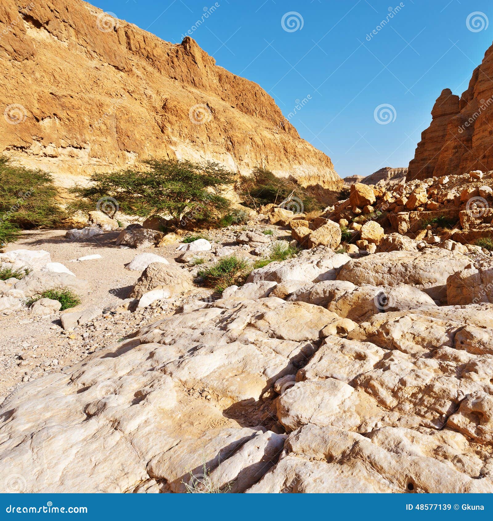 Riverbed stock image. Image of countryside, judean, hill - 48577139