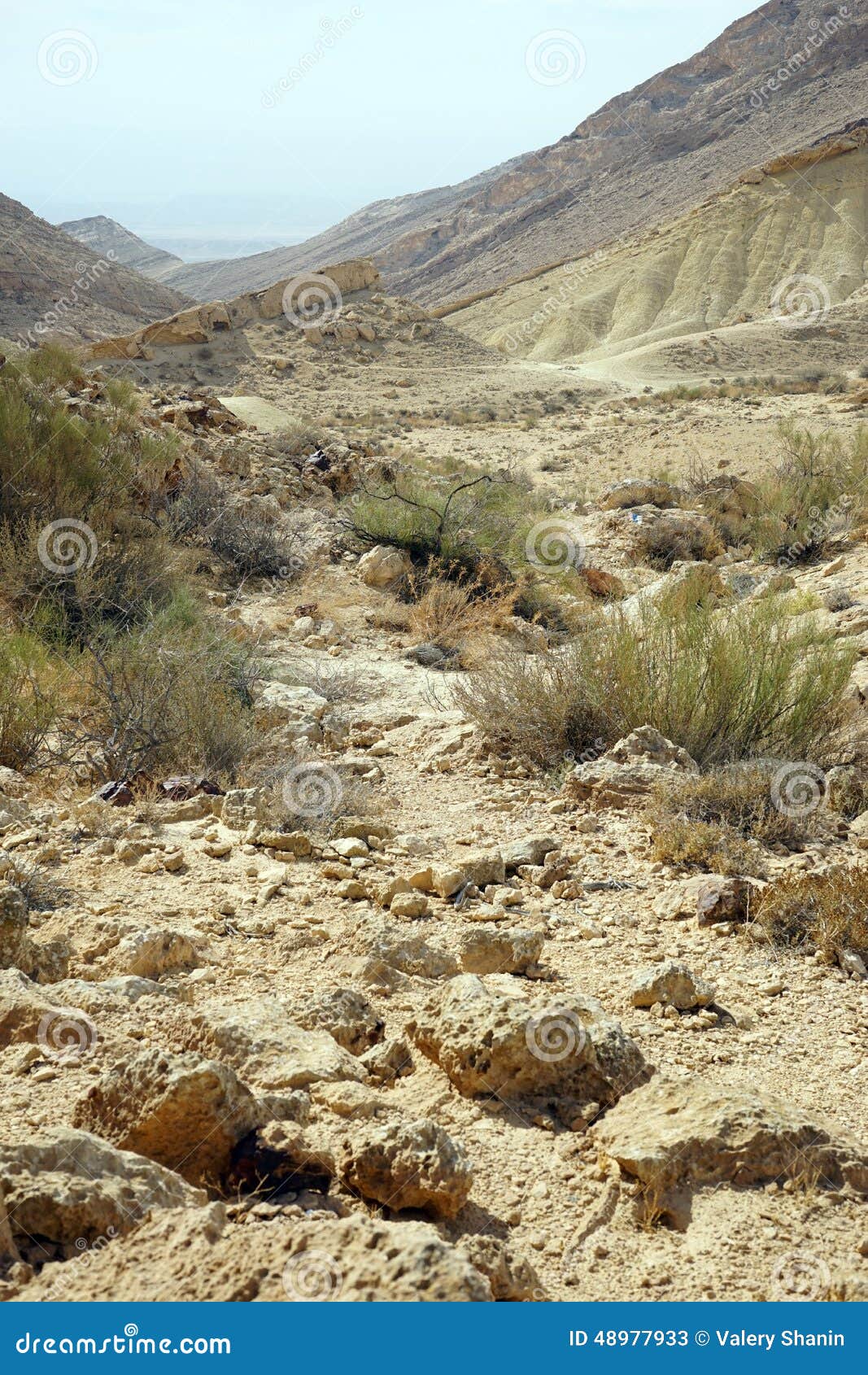 Riverbed stock image. Image of clay, surface, feature - 48977933