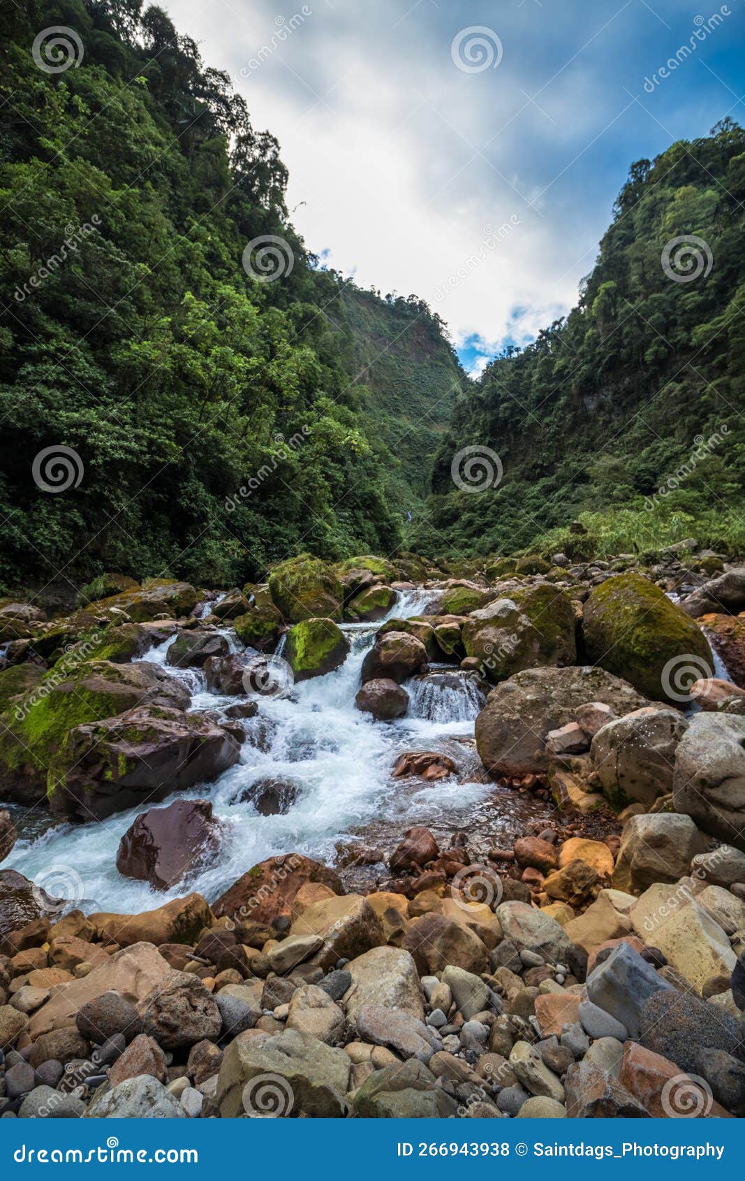 Riverbed in the Middle of the Mountains and Tropical Jungle Stock Photo ...