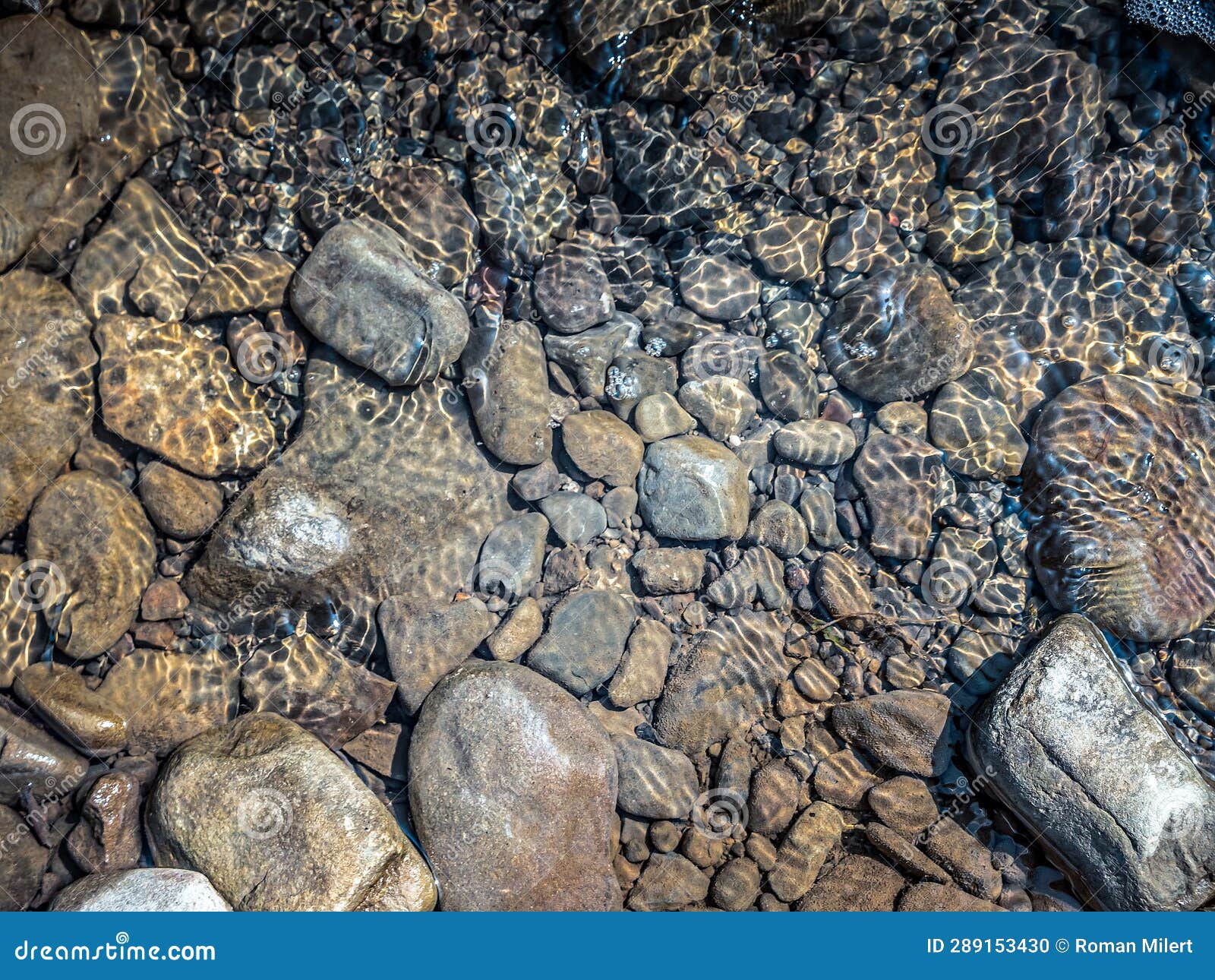 Riverbed Pebbles Submerged in the Water Stock Photo - Image of pebble ...