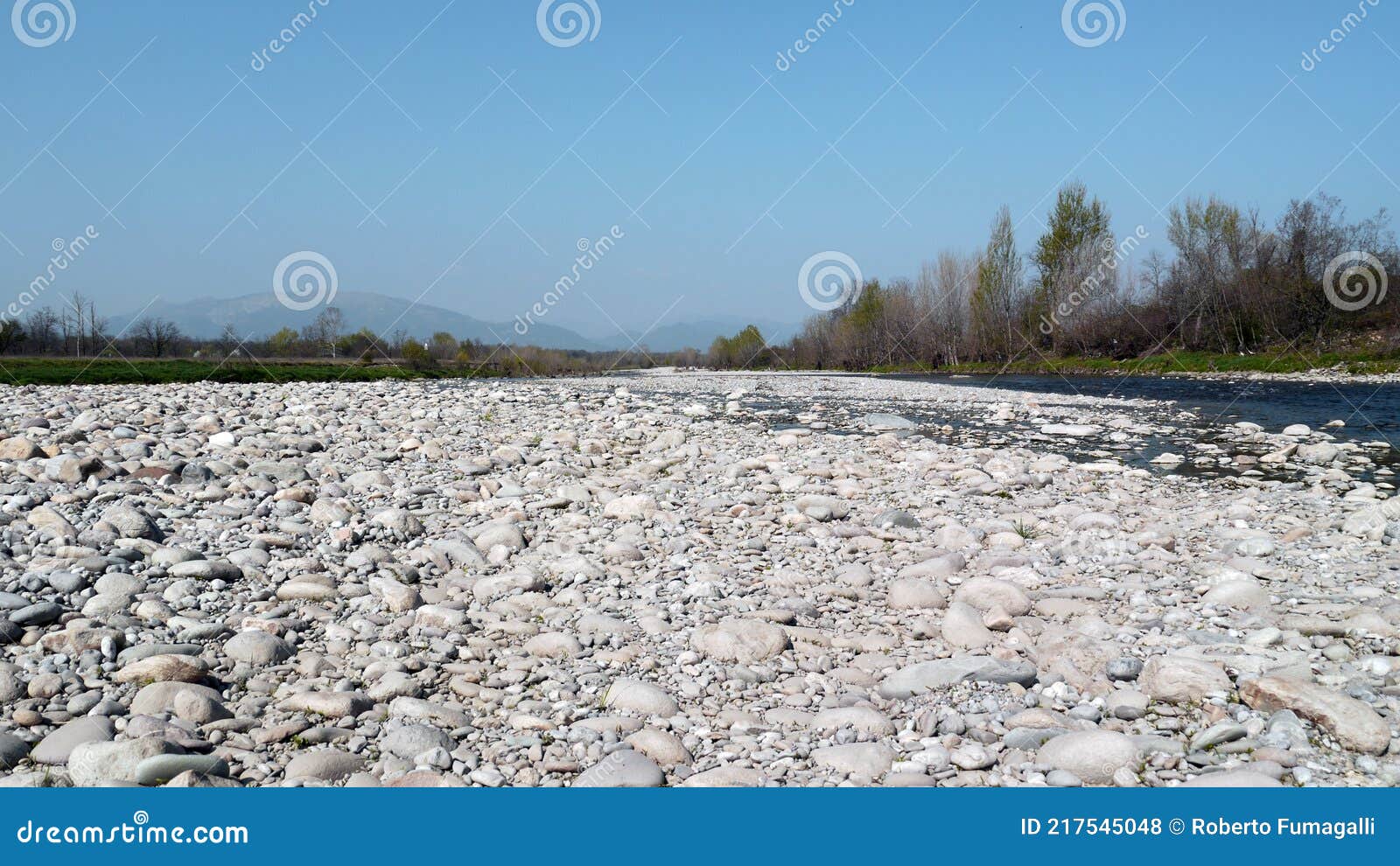 Riverbed of the River Brembo. Stock Photo - Image of landscape, trees ...