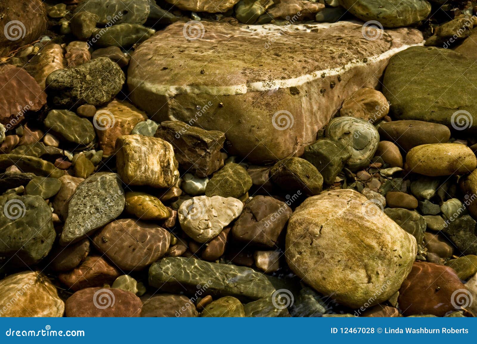 Riverbed rocks stock photo. Image of shiny, colorful - 12467028