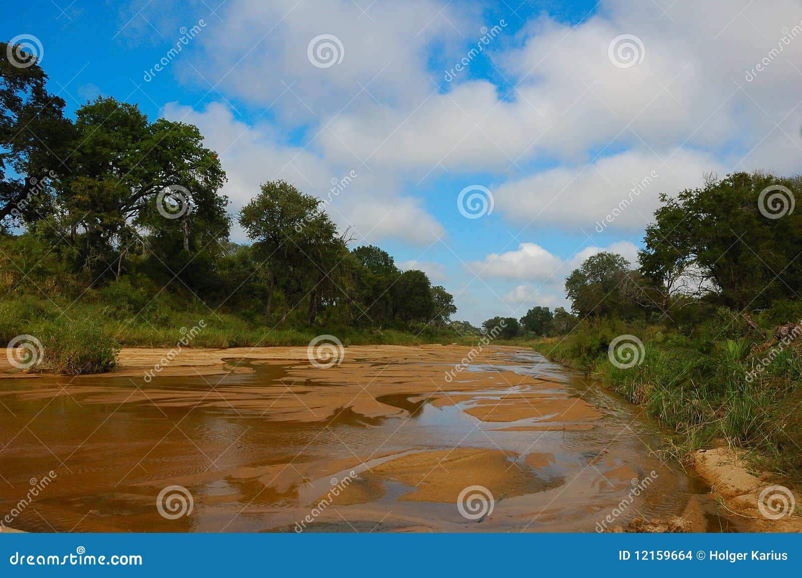 Riverbed Running Dry (South Africa) Stock Photo - Image of south ...