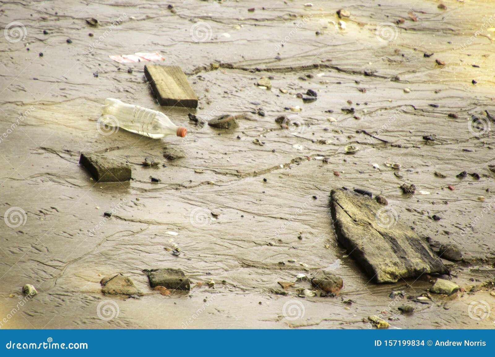 Riverbed stock photo. Image of water, empty, kingdom - 157199834