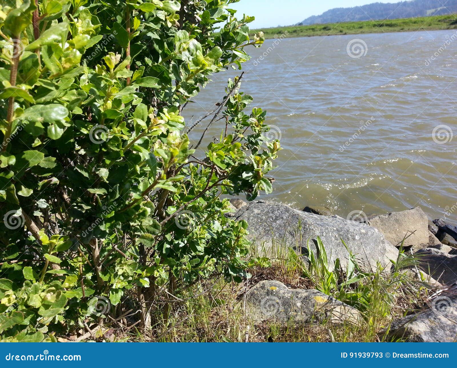 Riverbed stock image. Image of sand, summer, colorful - 91939793