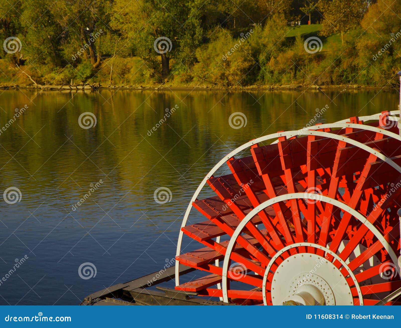 Riverboat paddles stock photo. Image of movement, riverboat - 11608314