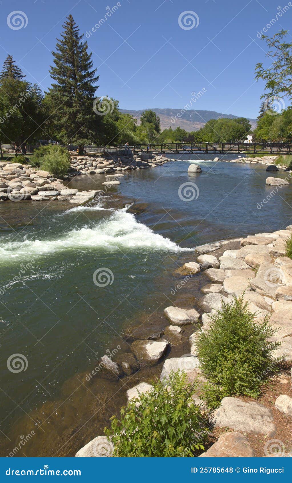 Riverflow in Downtown Reno NV. Stock Photo - Image of trees, rocks ...