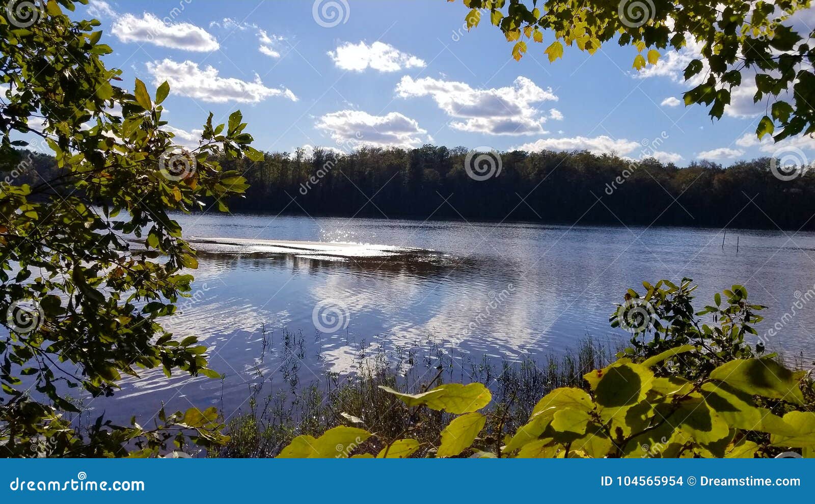 Riverfront View stock photo. Image of view, river, riverfront - 104565954