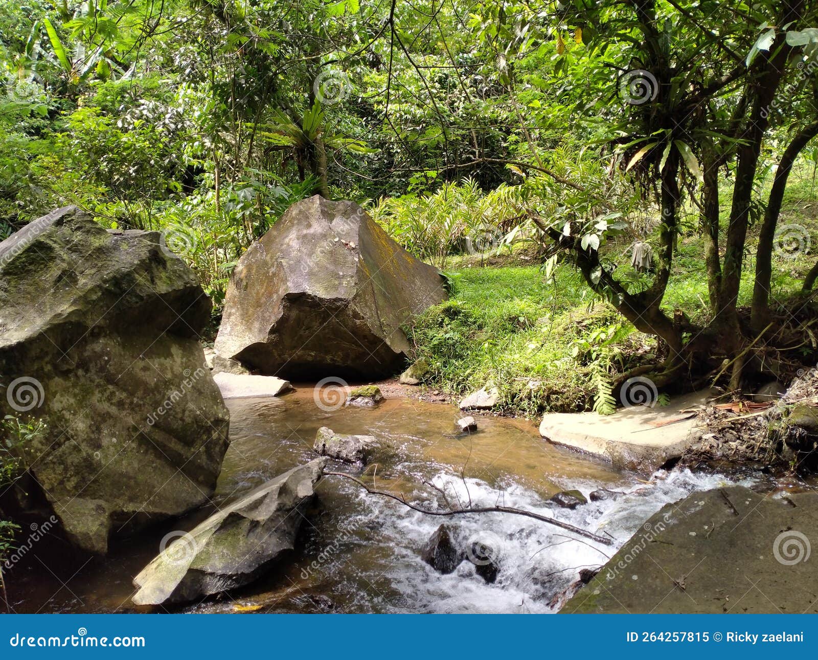 Rivers and Boulders from Volcanic Eruptions Stock Image - Image of rock ...