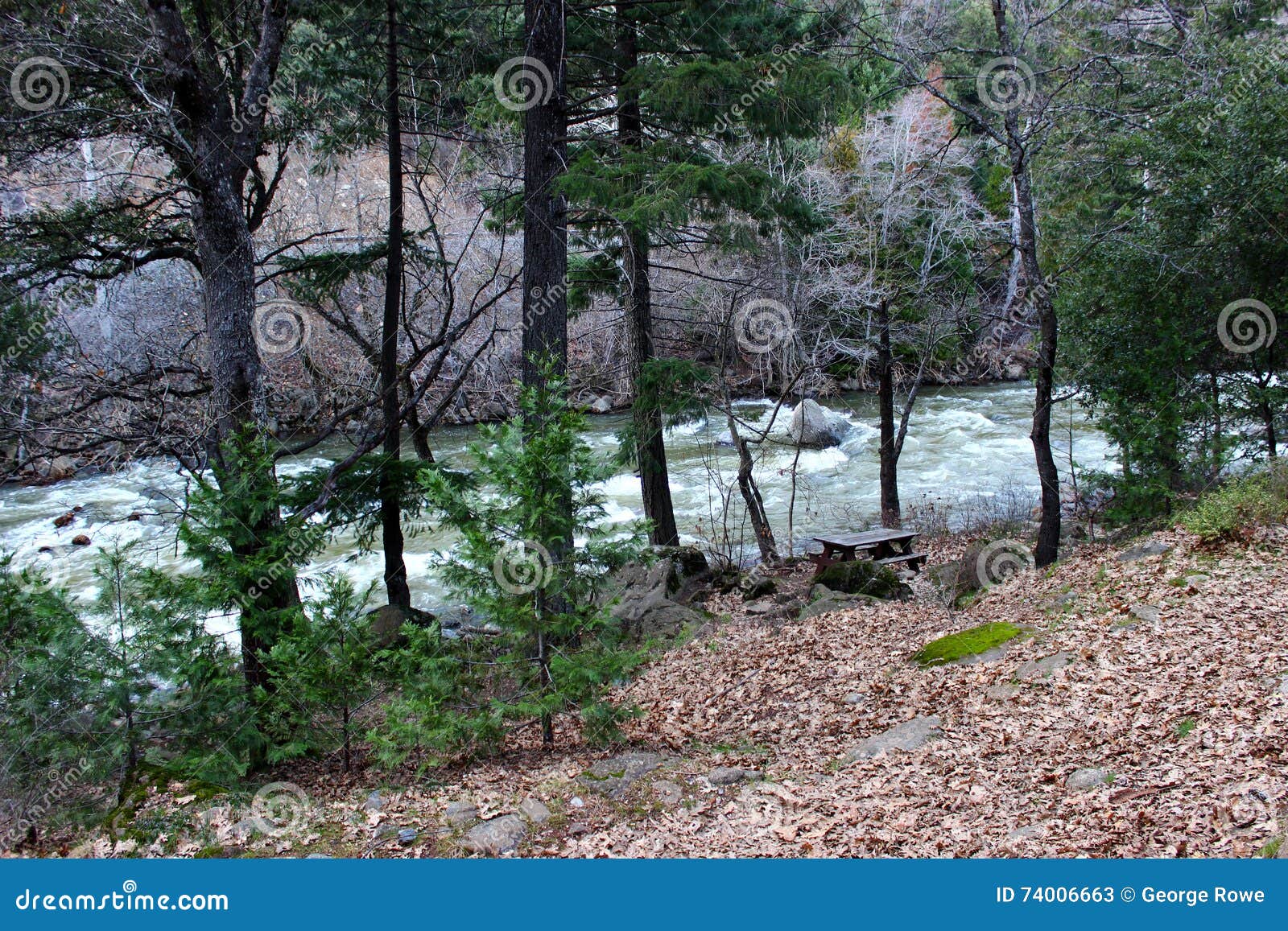Rivers Edge stock image. Image of boulders, leaves, fresh - 74006663