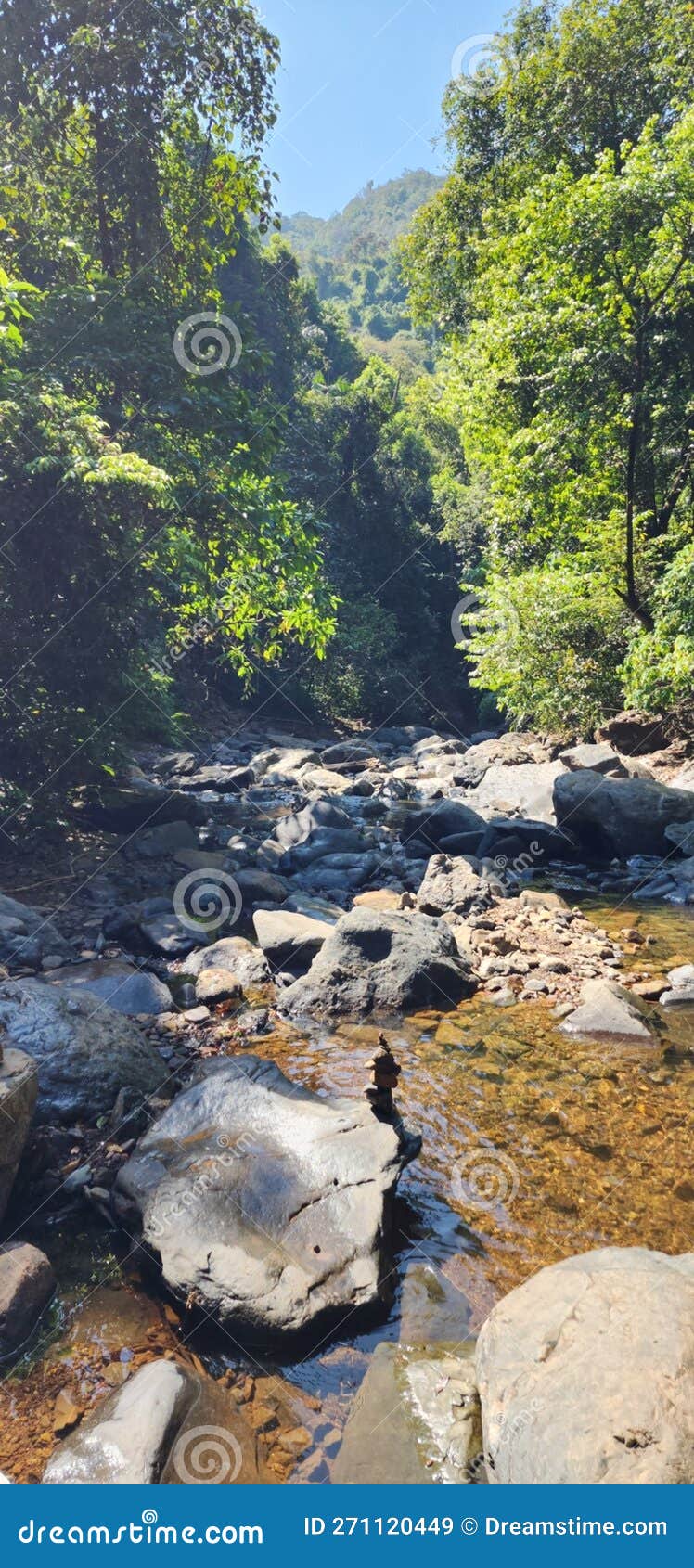 Rivers in Goa stock image. Image of formation, autumn - 271120449