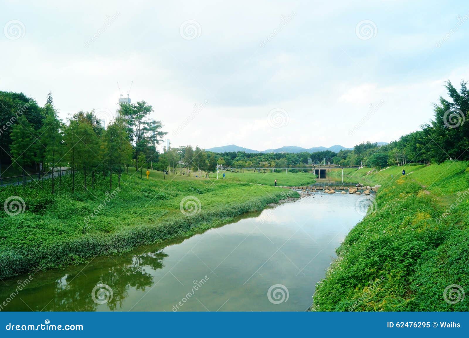 Rivers and green landscape stock image. Image of river - 62476295