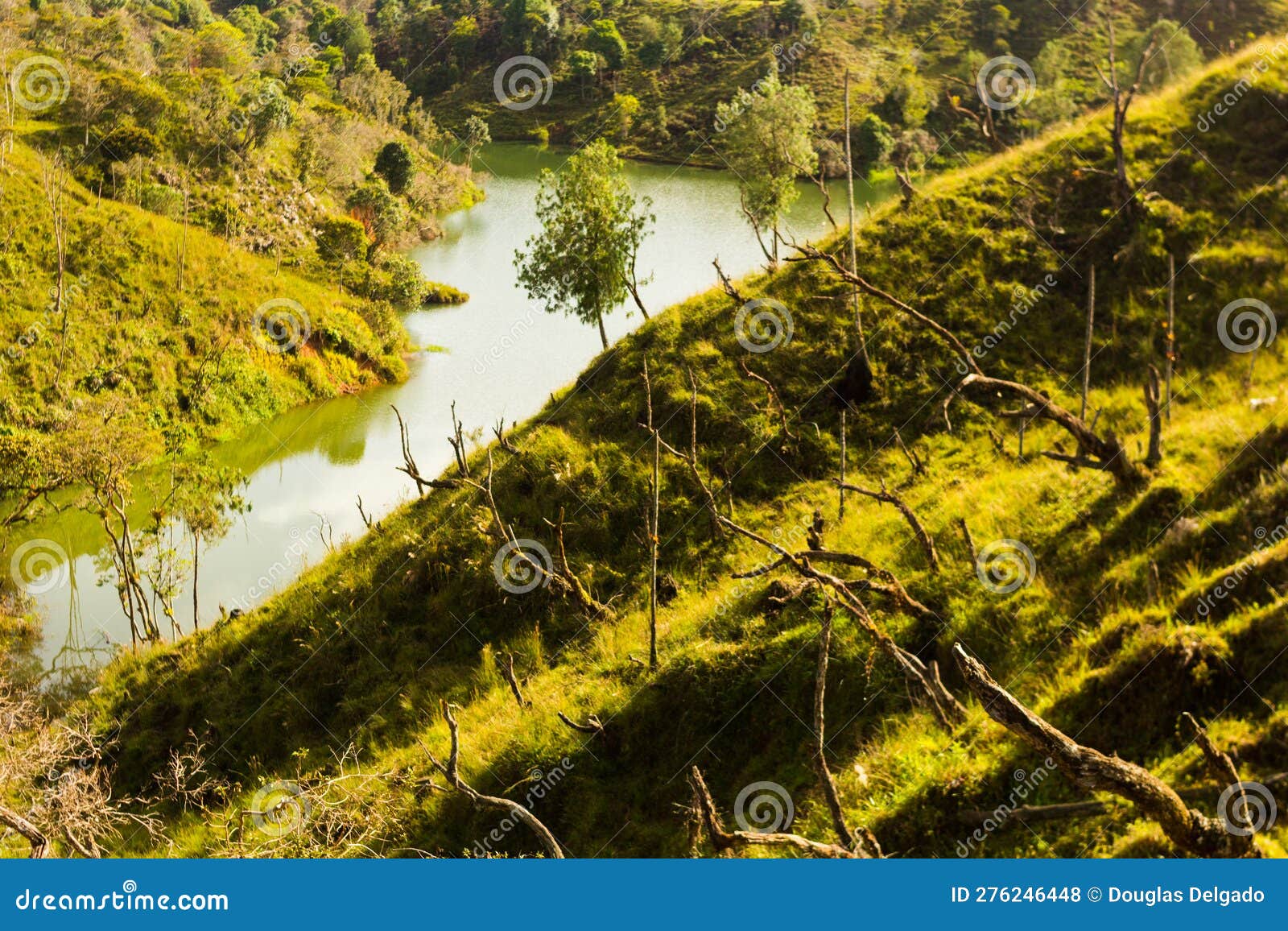 Rivers and Lagoons with Textures and Different Moments Stock Photo ...