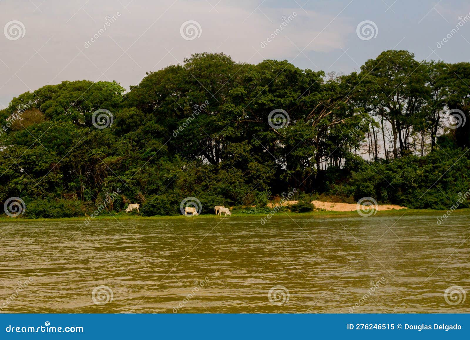 Rivers and Lagoons with Textures and Different Moments Stock Image ...