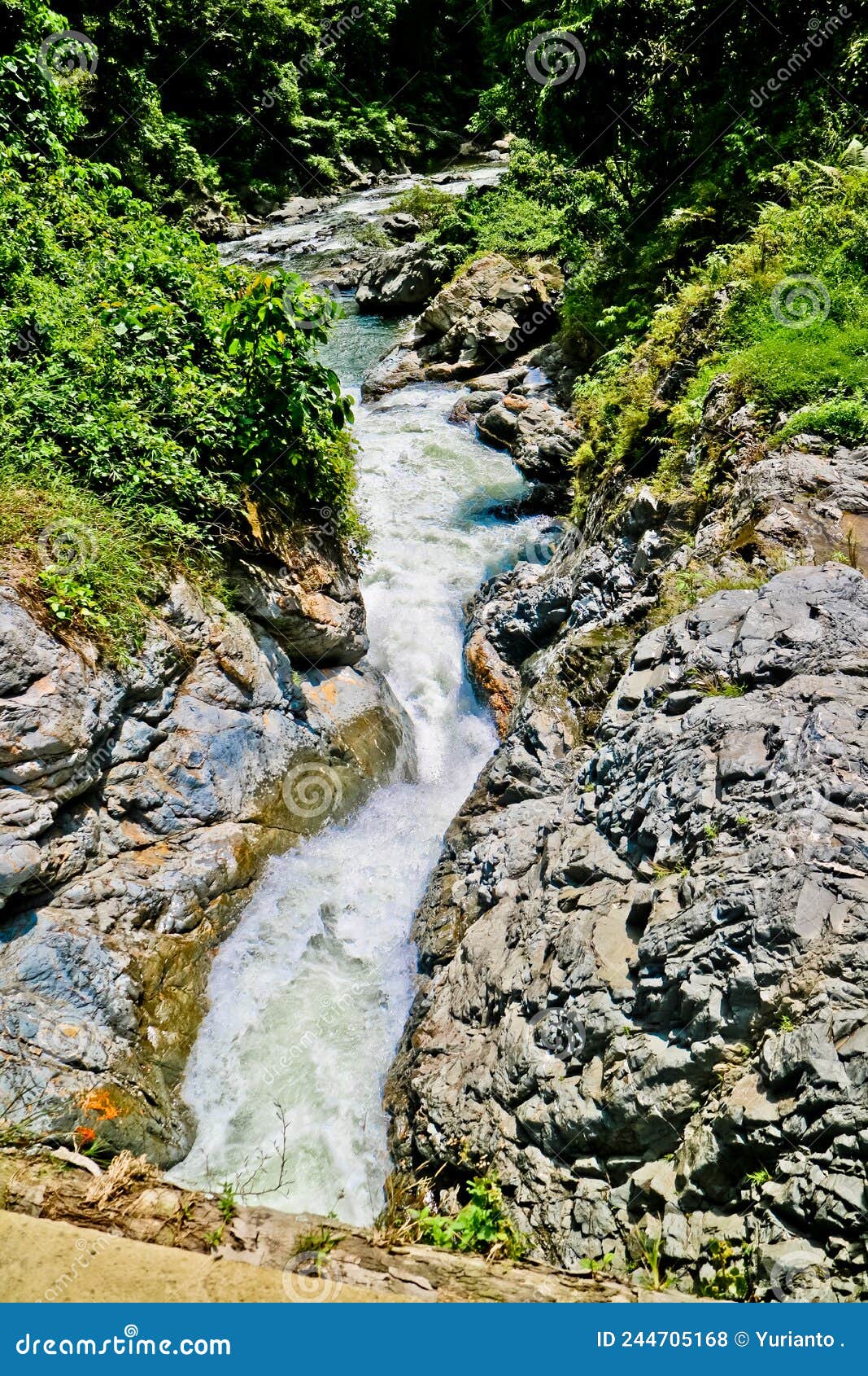 Beautiful Nature River and Forest, West Java, Indonesia. Stock Photo ...