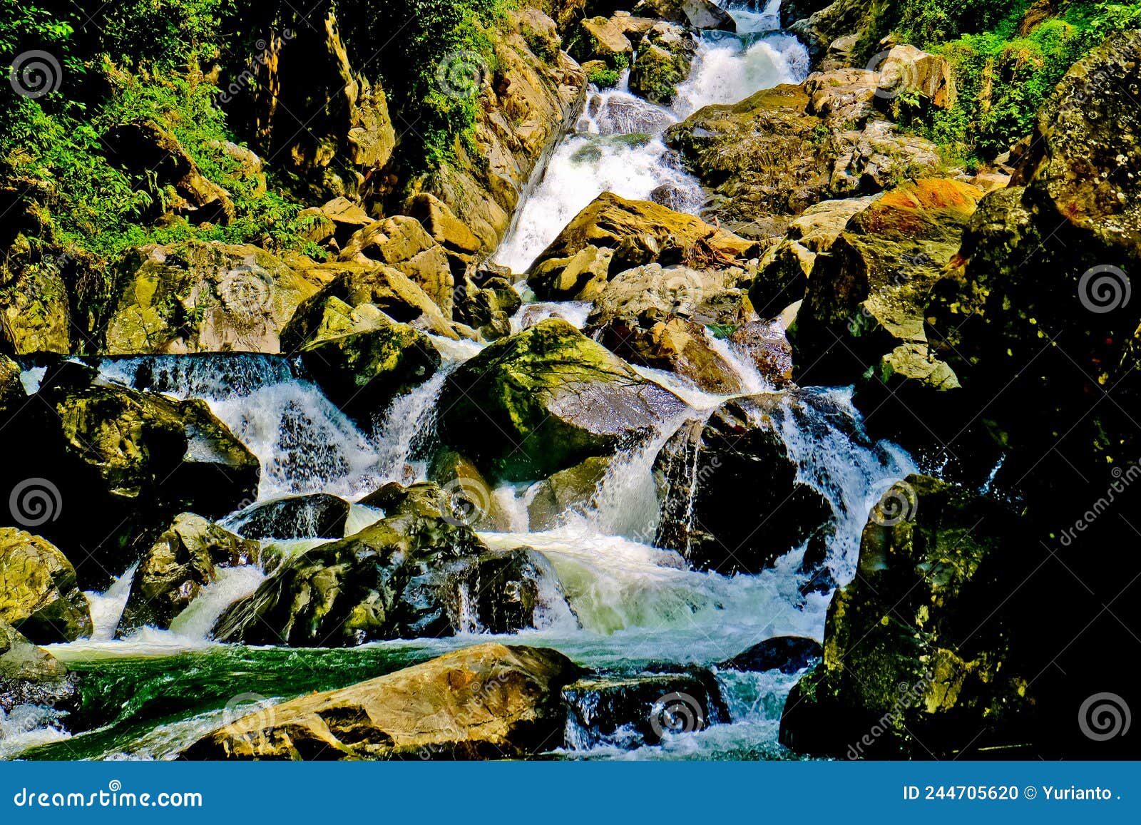 Beautiful Nature River and Forest, West Java, Indonesia. Stock Photo ...