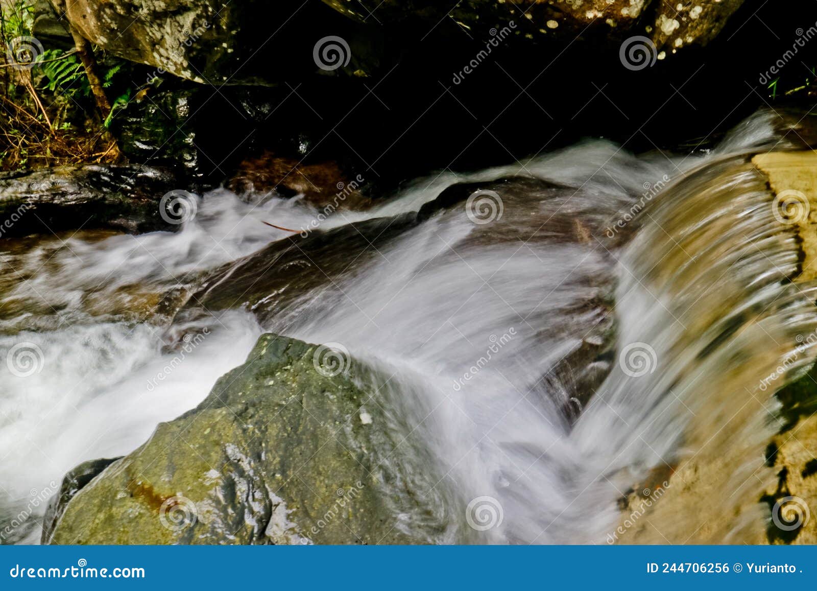 Beautiful Nature River and Forest, West Java, Indonesia. Stock Photo ...
