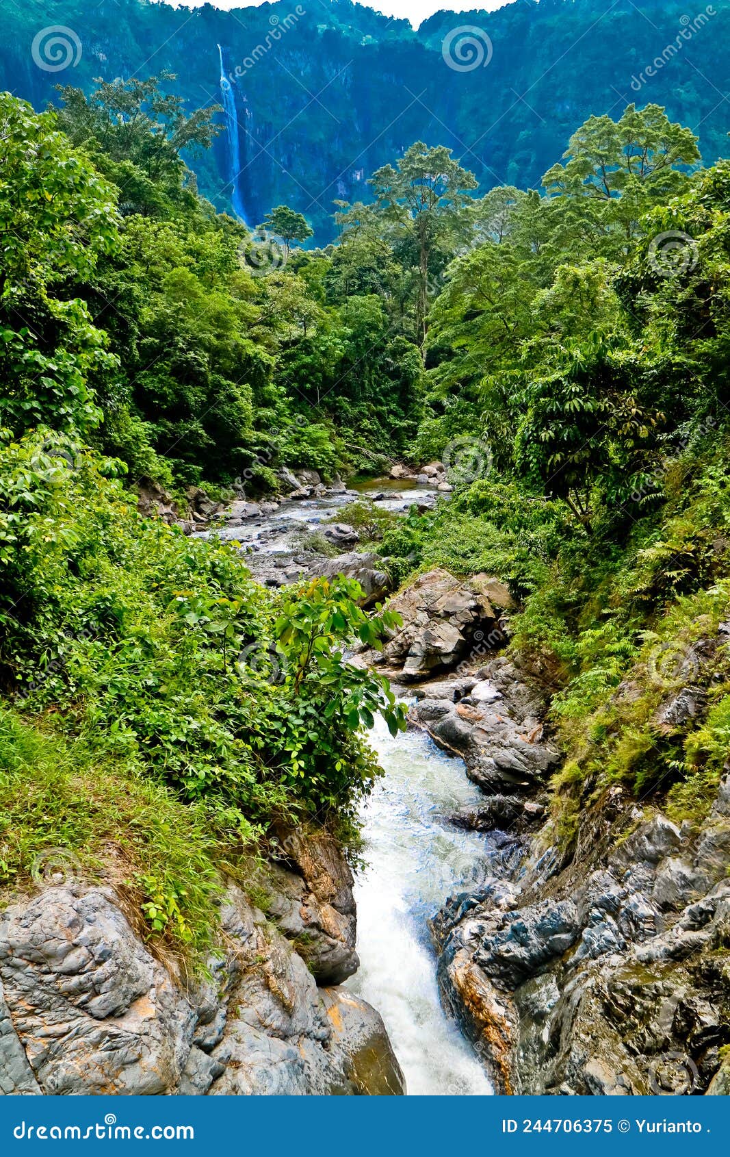 Beautiful Nature River and Forest, West Java, Indonesia. Stock Image ...
