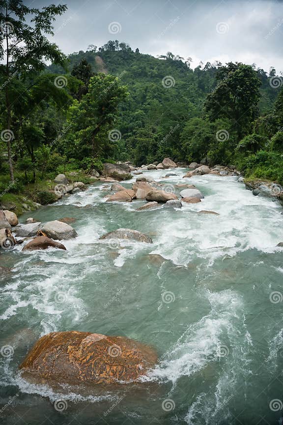 Rivers in North India are Droughty Stock Image - Image of tree ...
