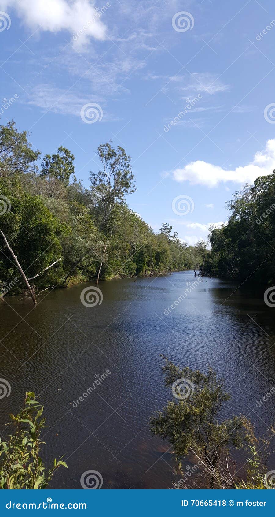 Rivers in Queensland Australia Stock Photo - Image of river, queensland ...