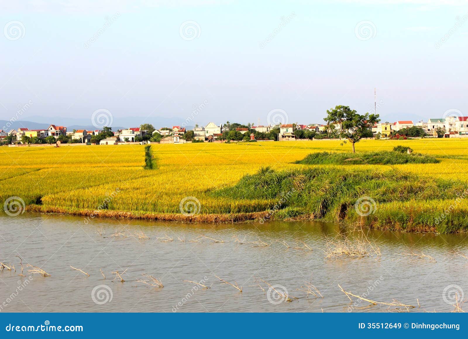 Rivers, Rice Fields and Houses Nine Stock Image - Image of rivers ...