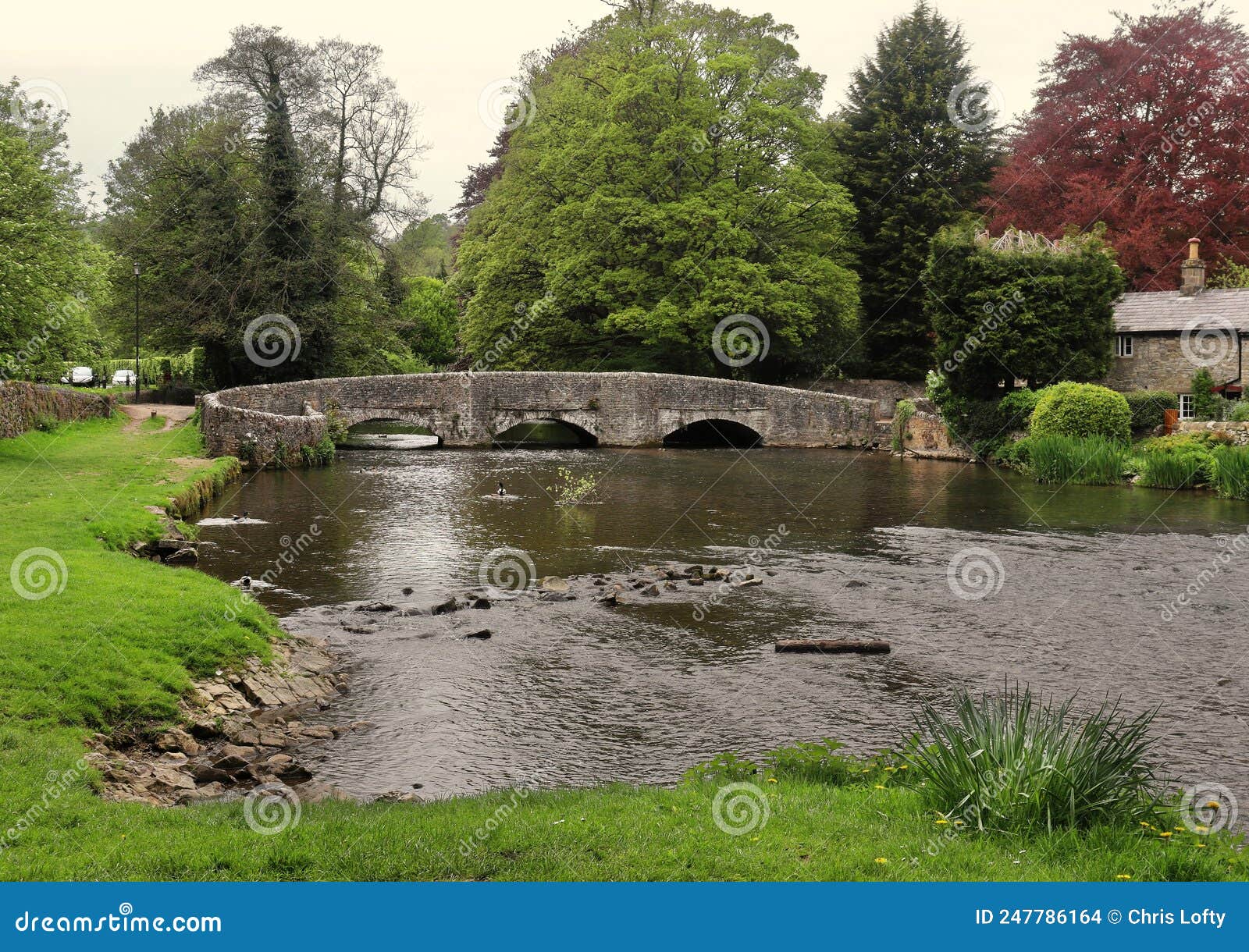 Rivers - River Wye in Derbyshire Stock Photo - Image of reflections ...