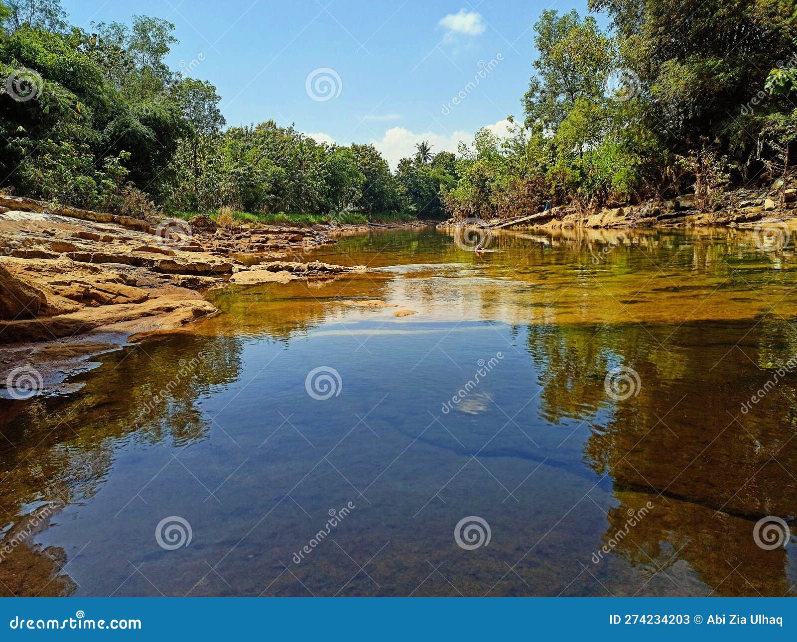 Rivers and Rocks Decorated with Trees Stock Image - Image of green ...