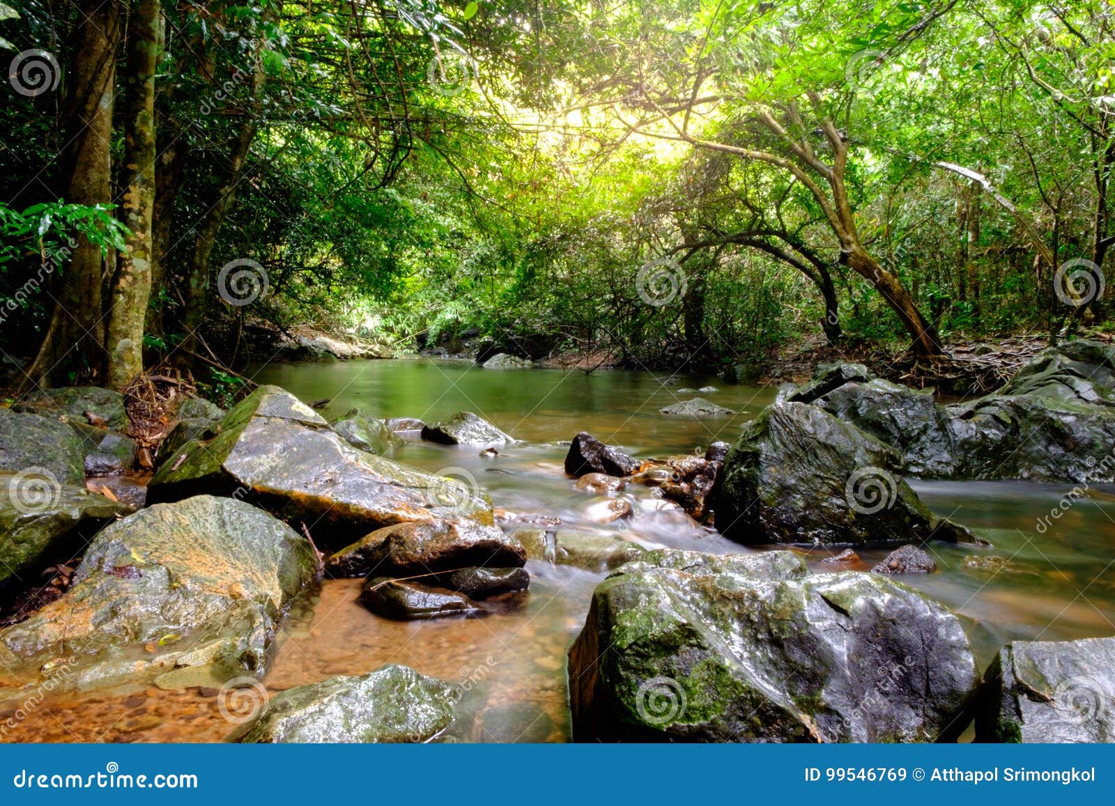 Rivers in Streams that Flow through the Rocks Stock Image - Image of ...