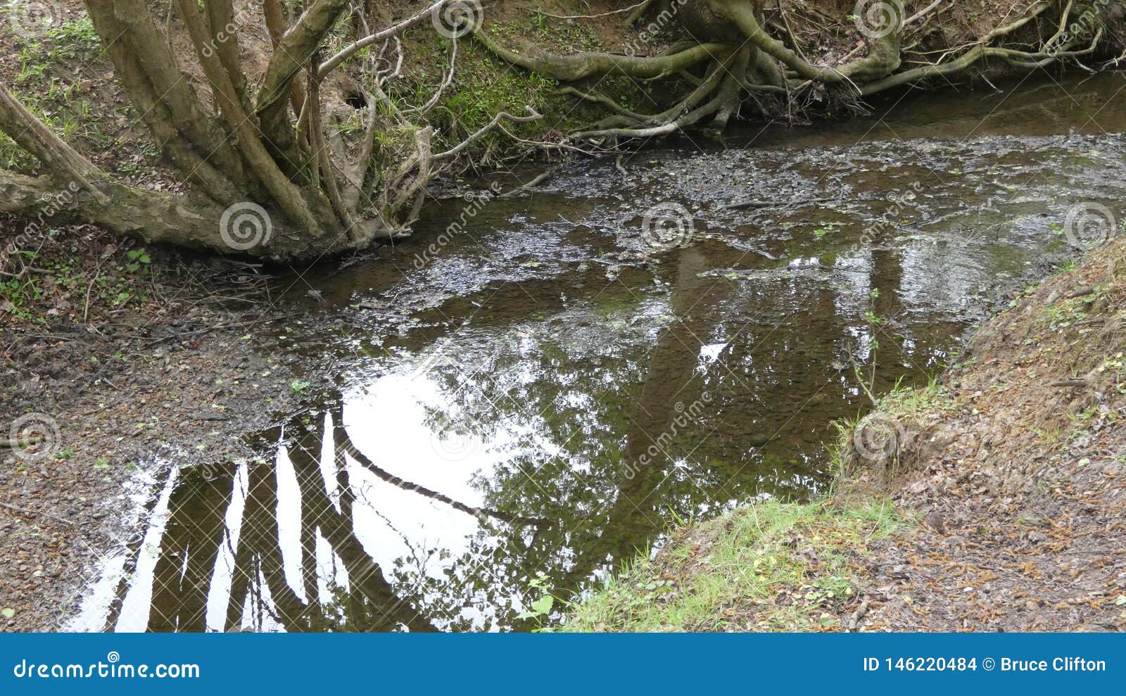 Rivers and Streams Still Waters Run Deep 1 Stock Photo - Image of ...