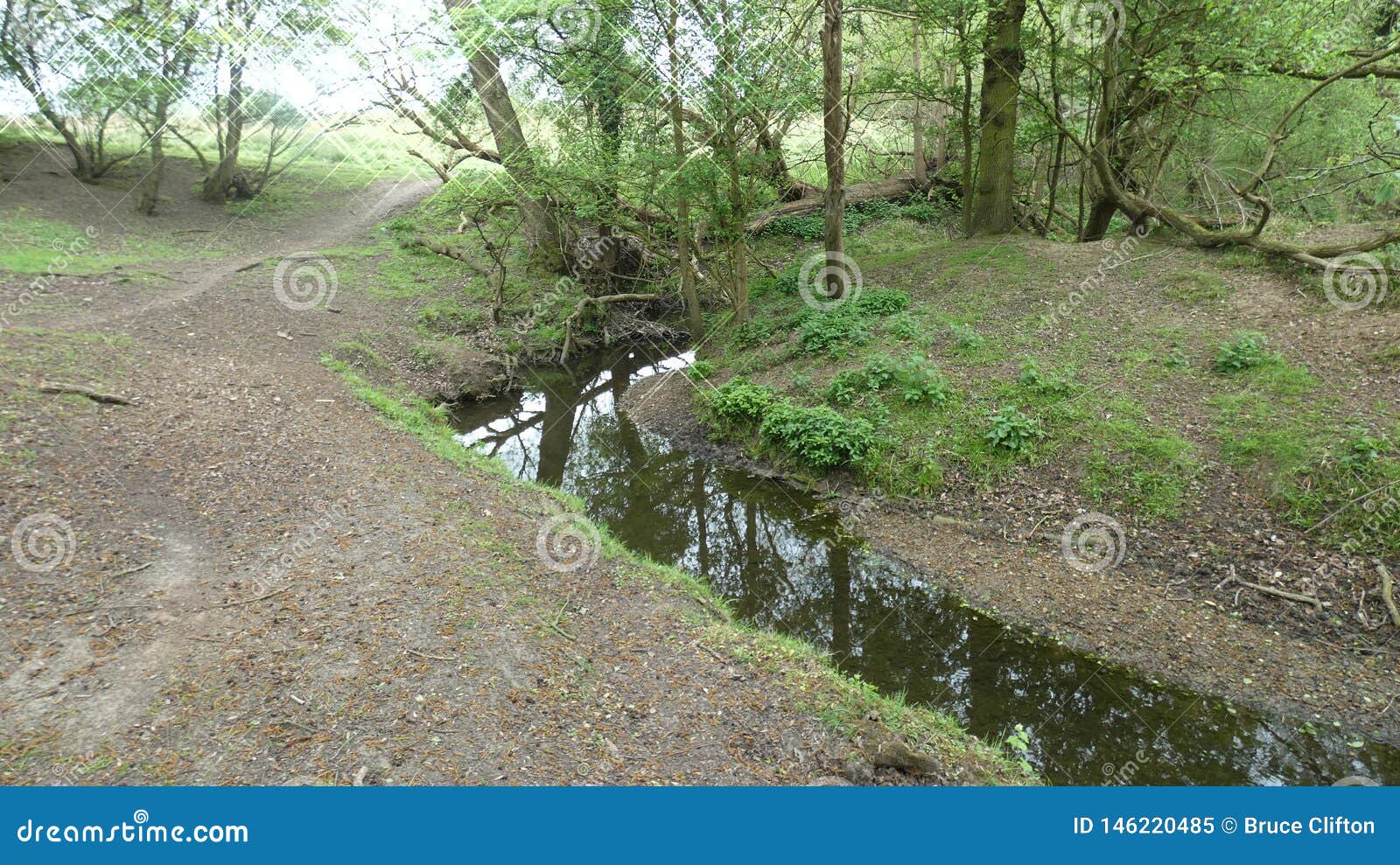 Rivers and Streams Still Waters Run Deep 2 Stock Image - Image of ...