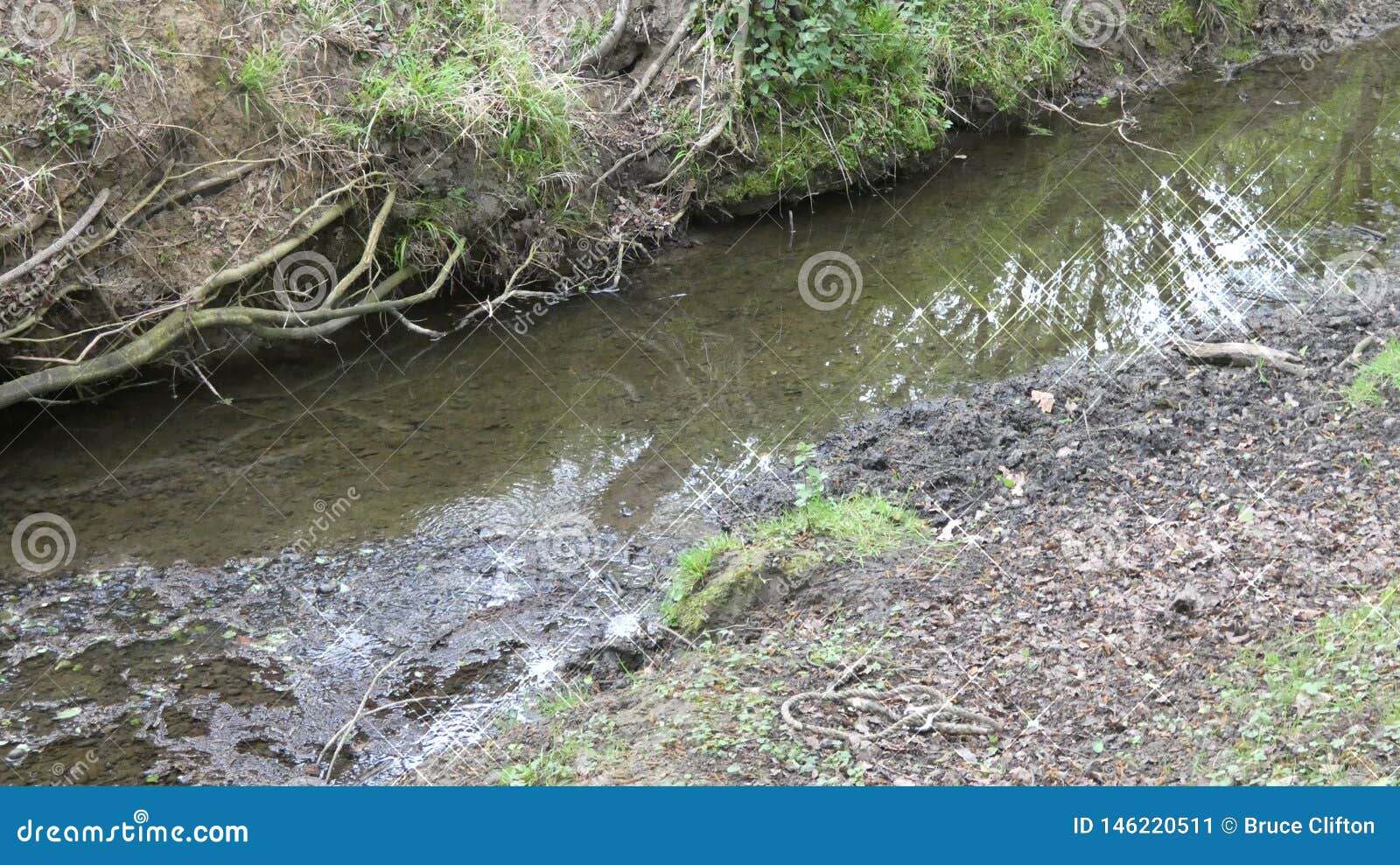 Rivers and Streams Still Waters Run Deep 3 Stock Image - Image of ...