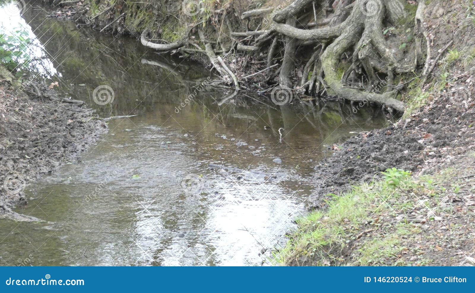 Rivers and Streams Still Waters Run Deep 5 Stock Photo - Image of ...