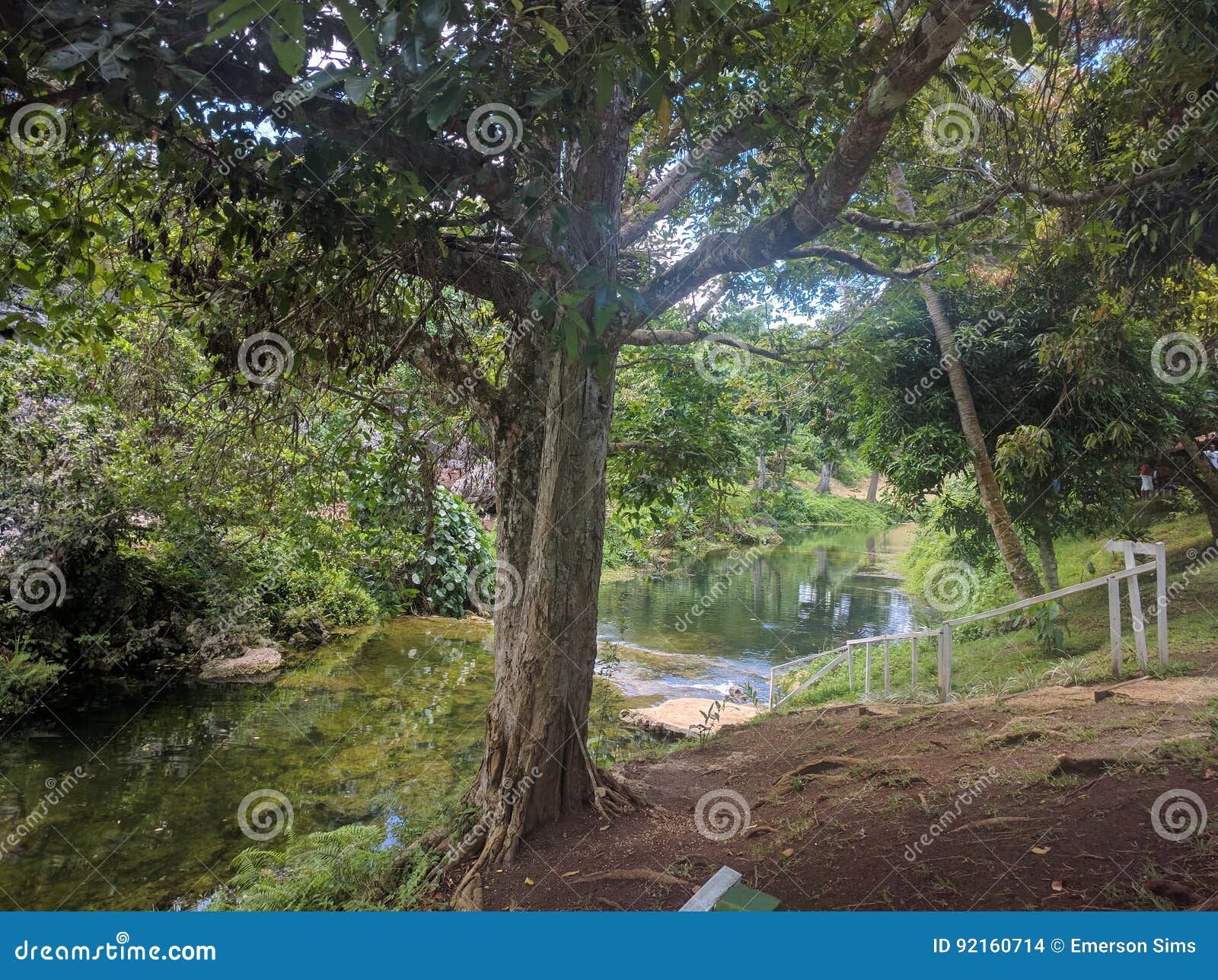 Rivers on Vila, Vanuatu stock photo. Image of relaxing - 92160714