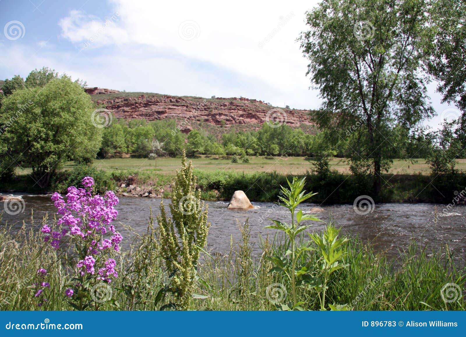 Riverscape stock image. Image of cloud, rock, grass, rocks - 896783