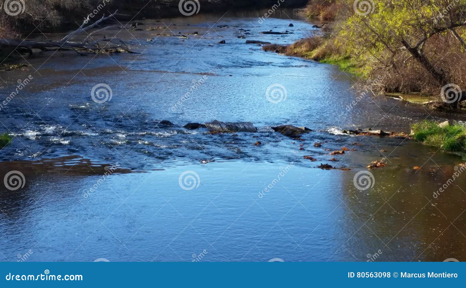 Riverscape stock photo. Image of riverscape, autumn, fall - 80563098
