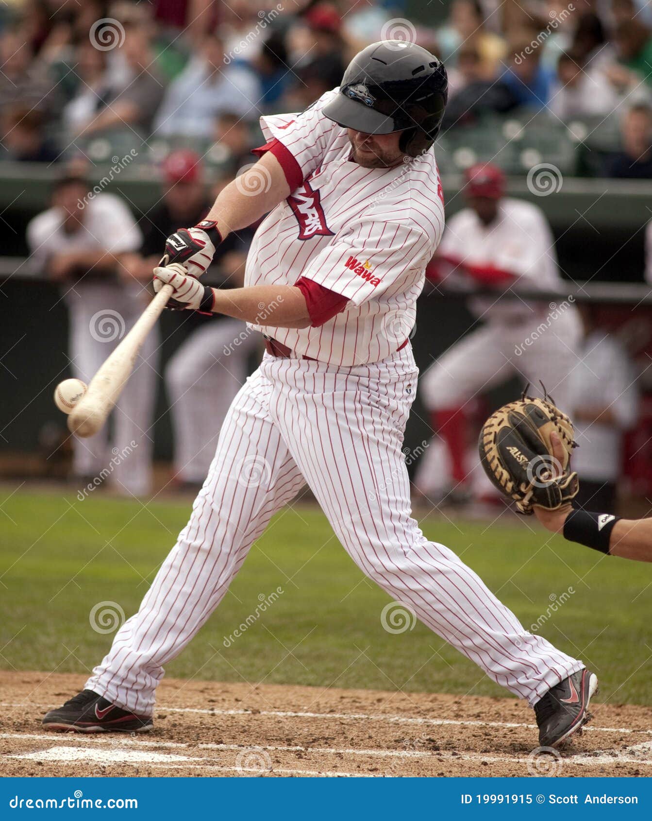 Riversharks editorial image. Image of ball, leagie, bridgeport - 19991915