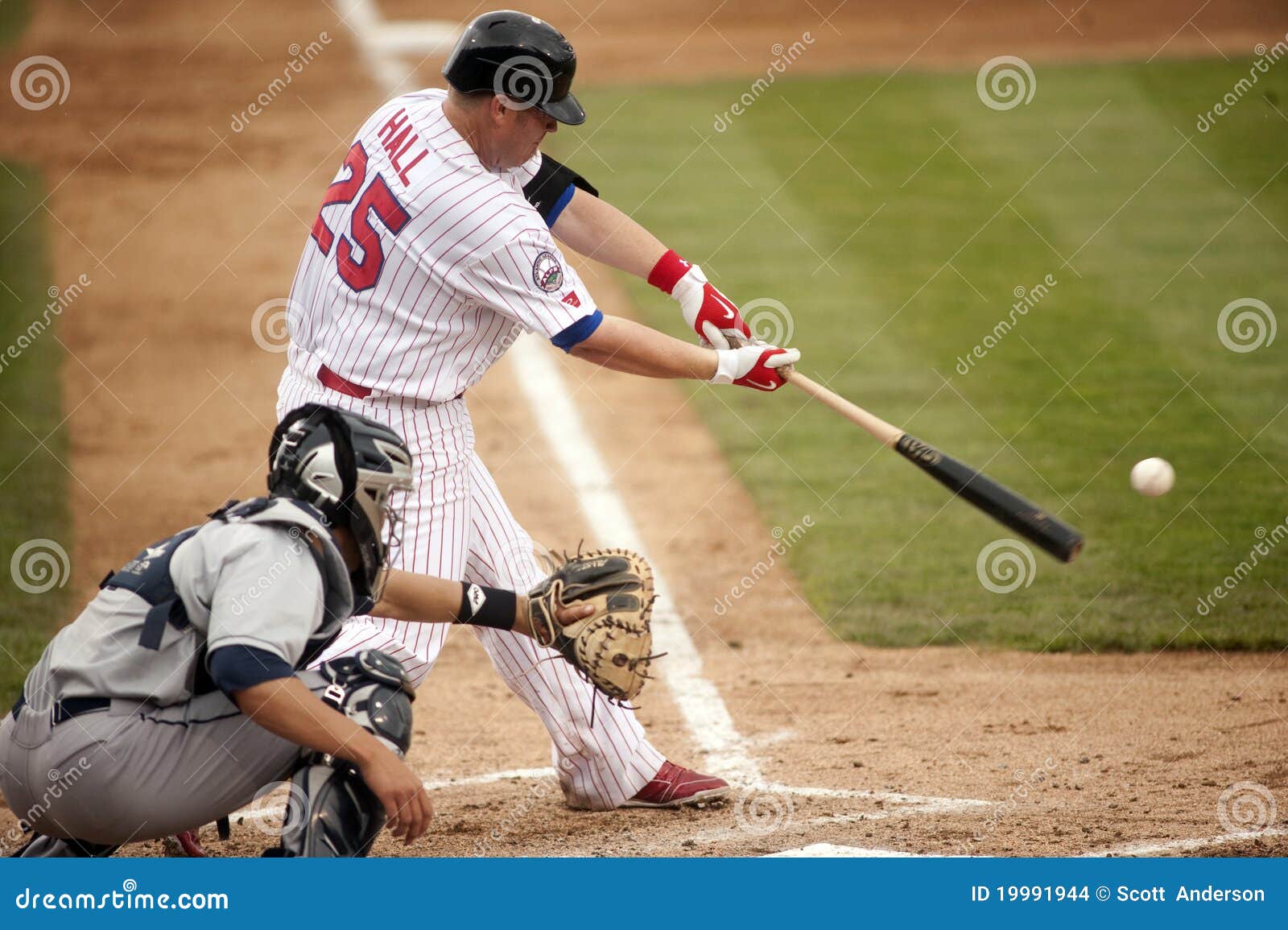 Riversharks editorial stock image. Image of riversharks - 19991944