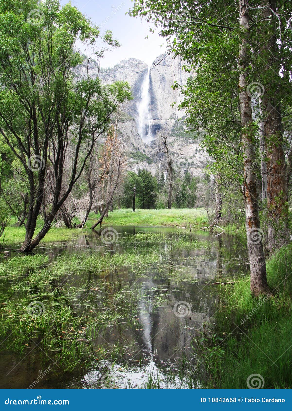 On riverside stock photo. Image of river, yosemite, national - 10842668