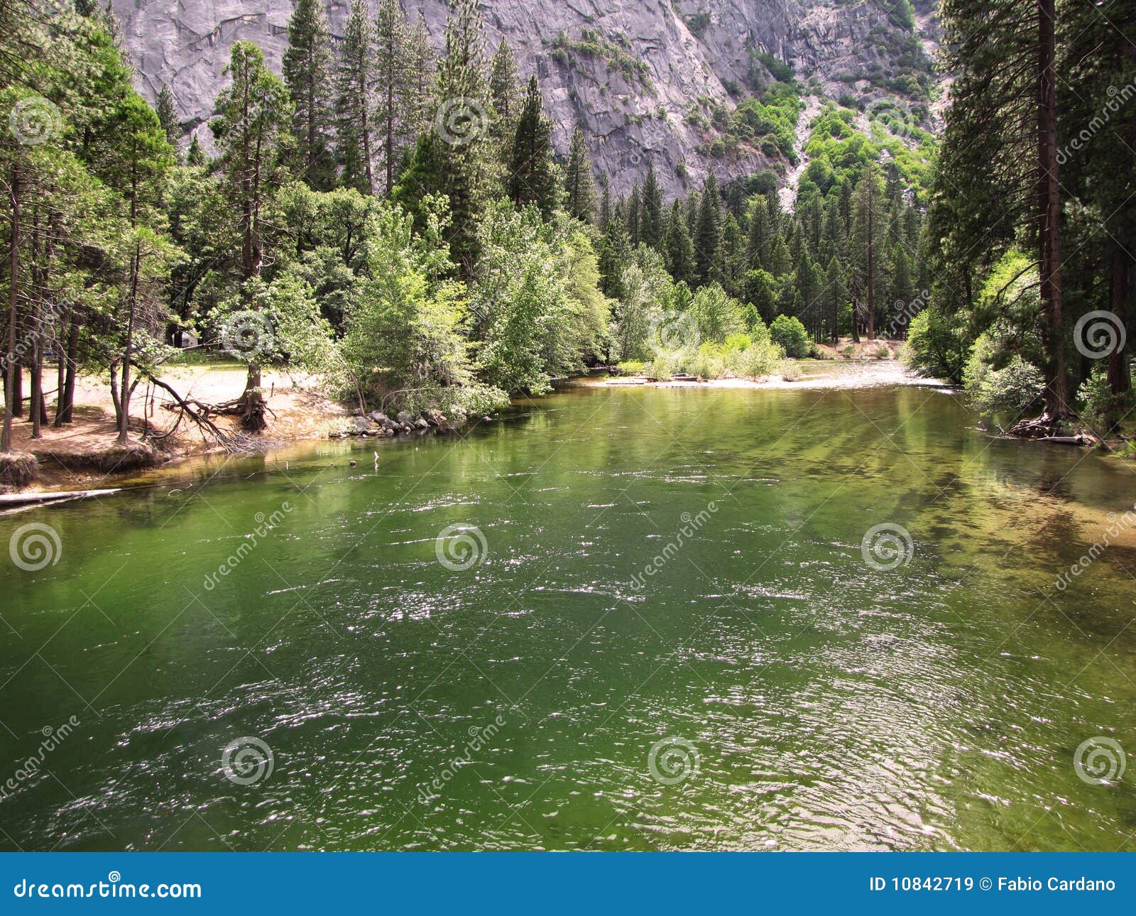On riverside stock image. Image of america, river, yosemite - 10842719