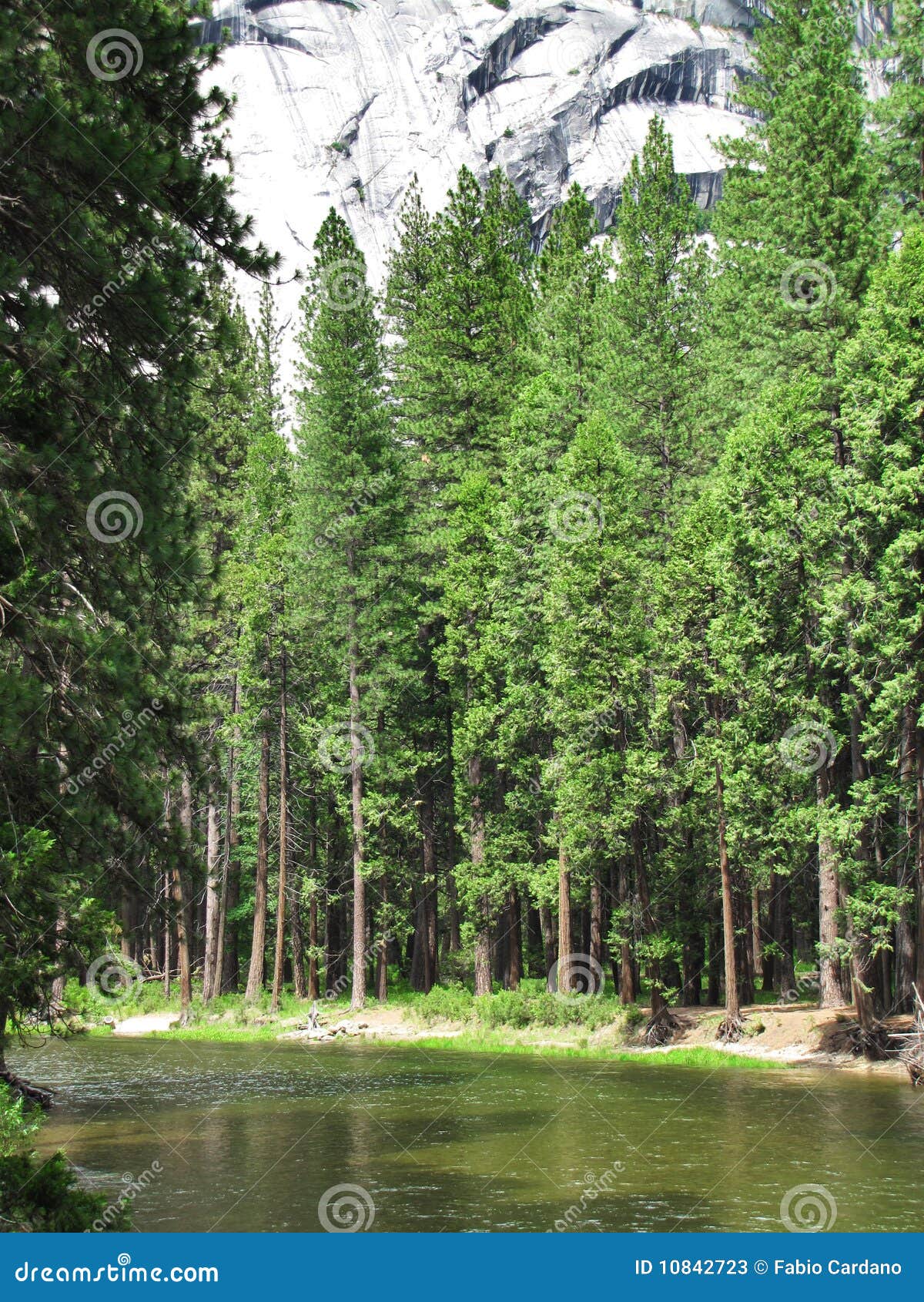 On riverside stock image. Image of national, nature, yosemite - 10842723