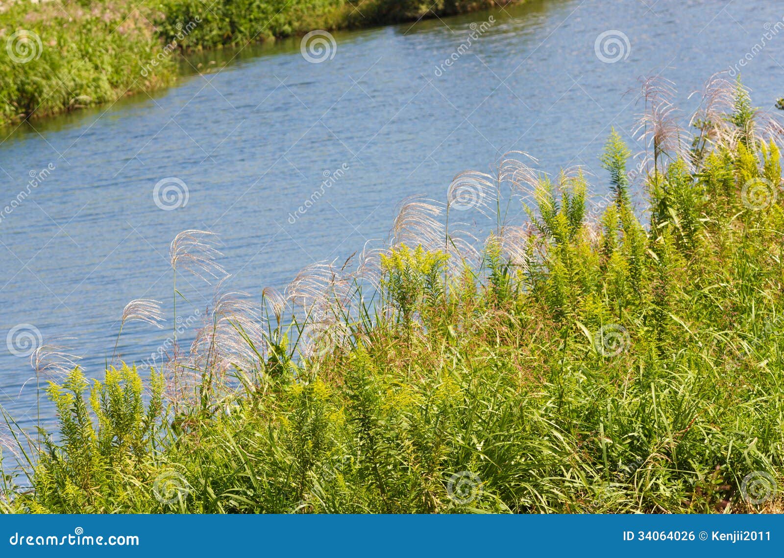 Riverside autumn stock photo. Image of scene, nature - 34064026