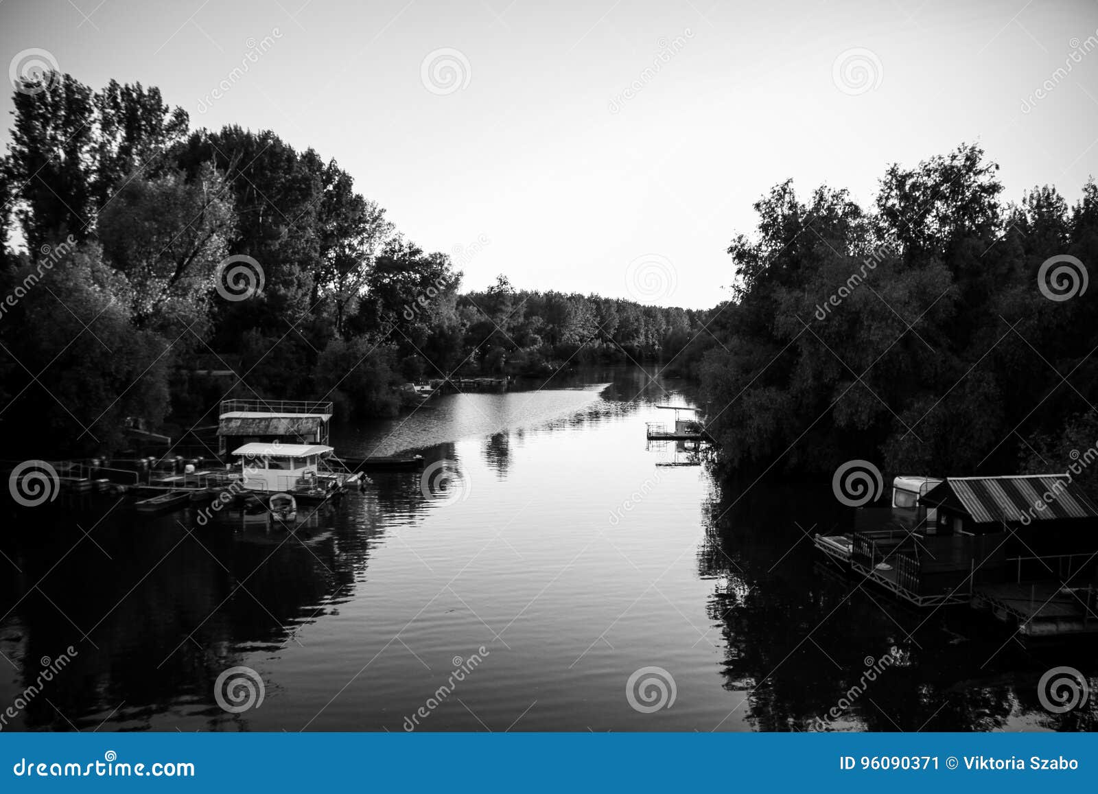 Riverside black and white stock image. Image of flowing - 96090371