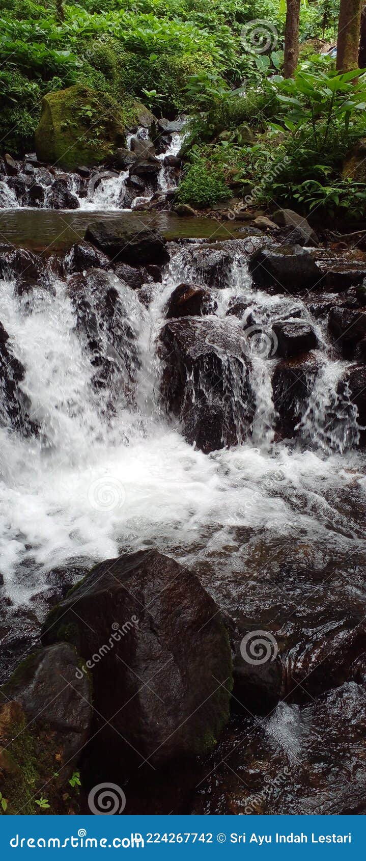 Riverside in Bogor, Indonesia. Stock Photo - Image of indonesia, nature ...