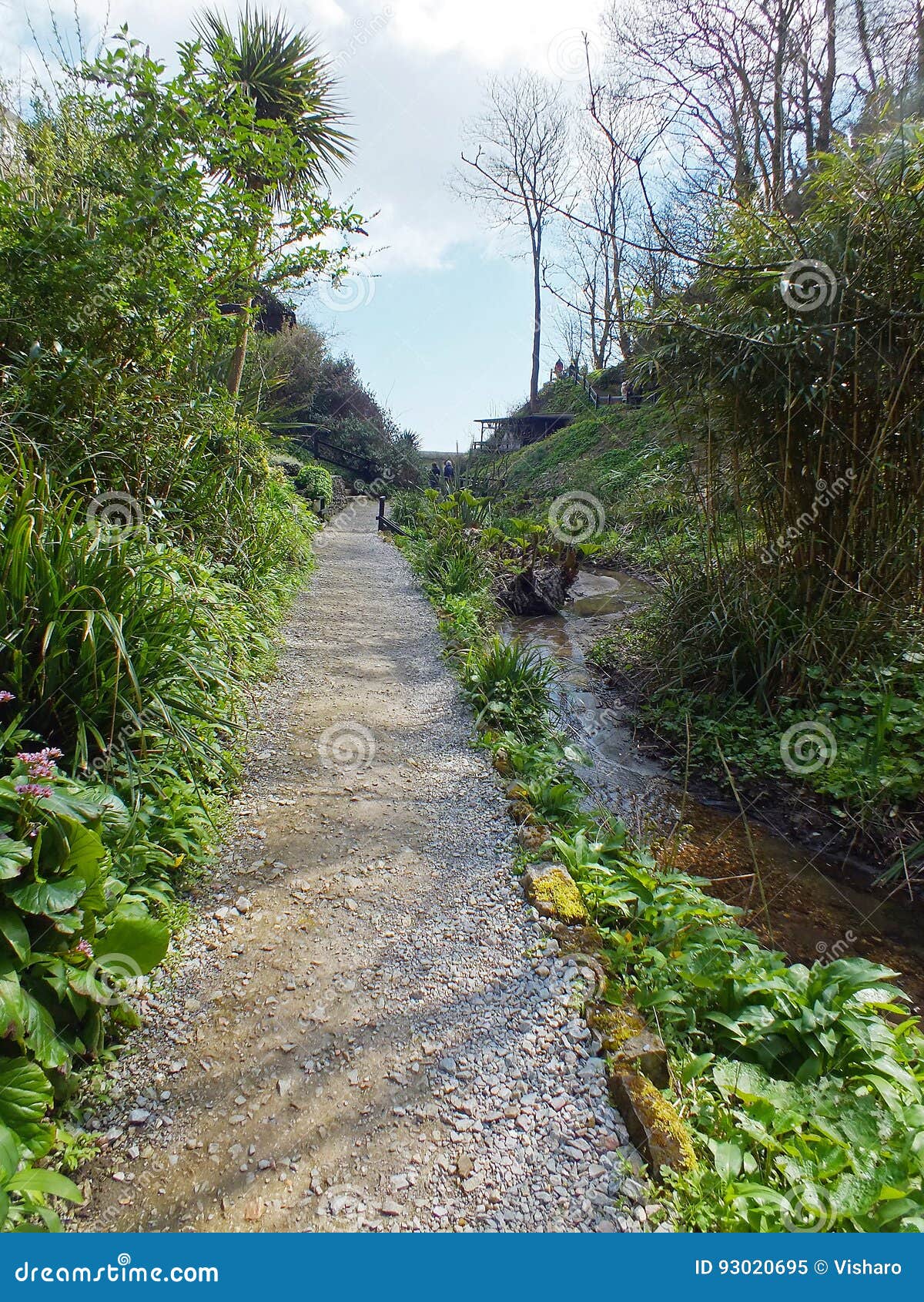 Riverside Footpath stock image. Image of gravel, stream - 93020695