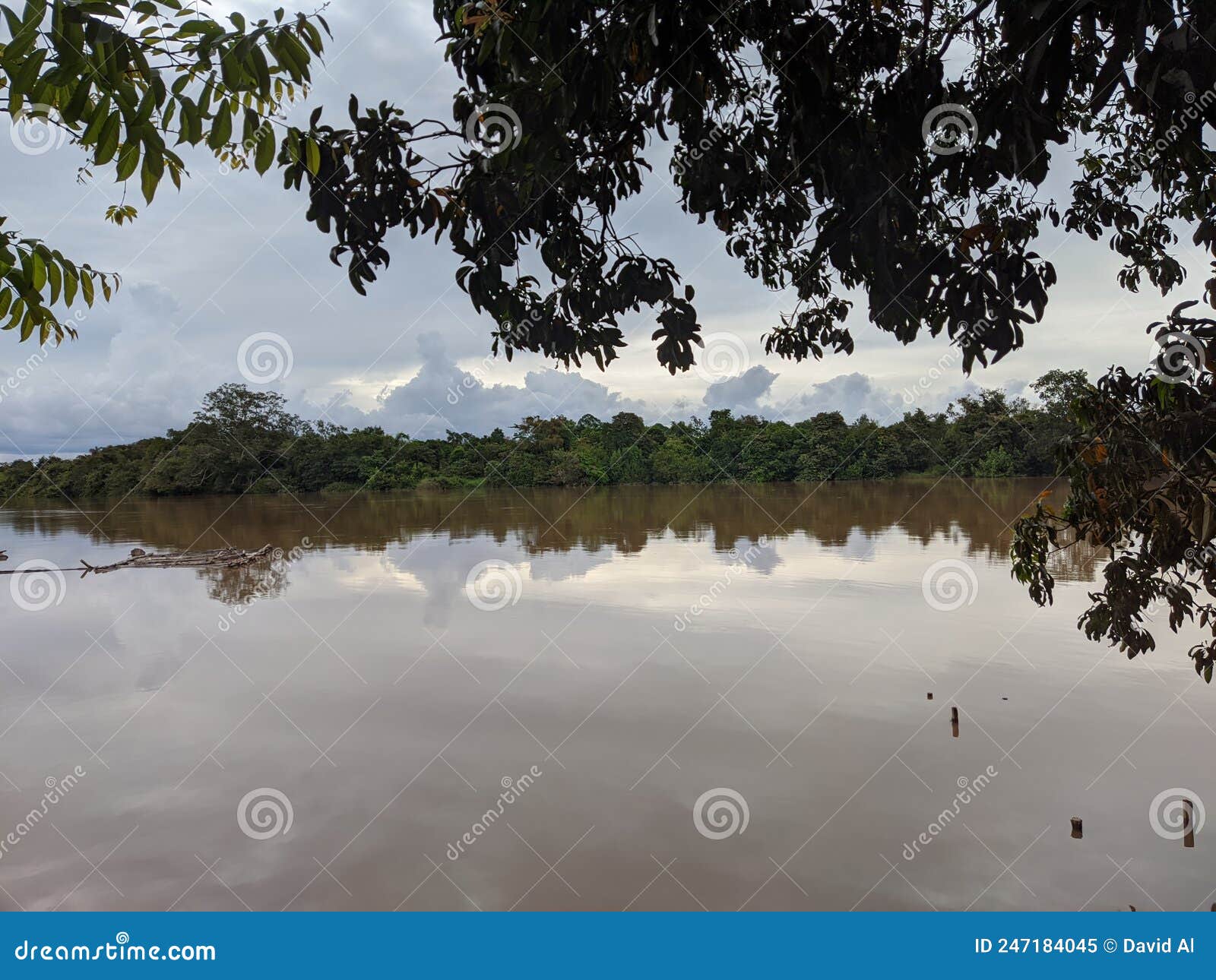 Riverside and Forest in Kalimantan, Indonesia Stock Image - Image of ...