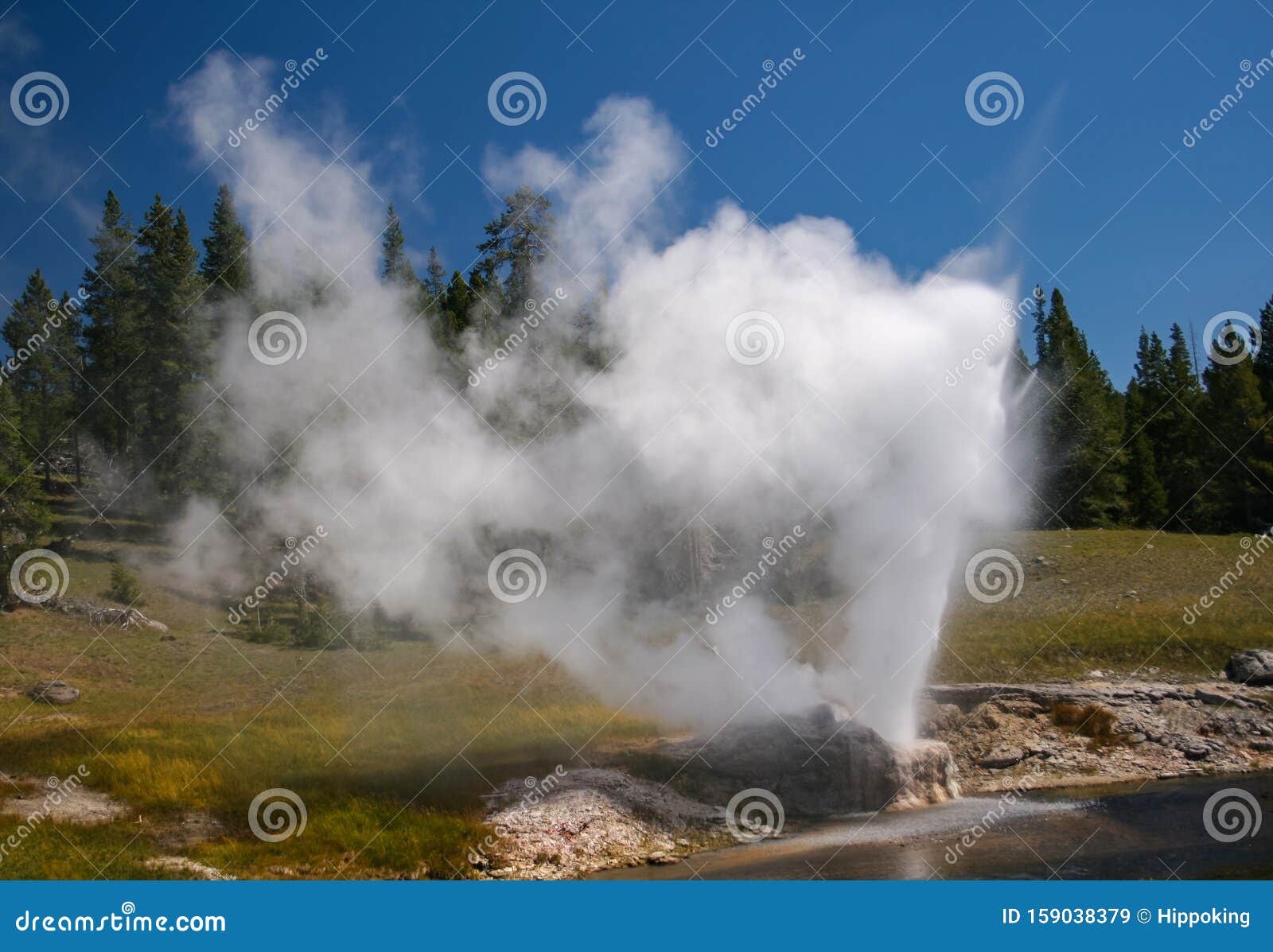 Riverside Geyser, Parque Nacional Yellowstone Imagen de archivo ...