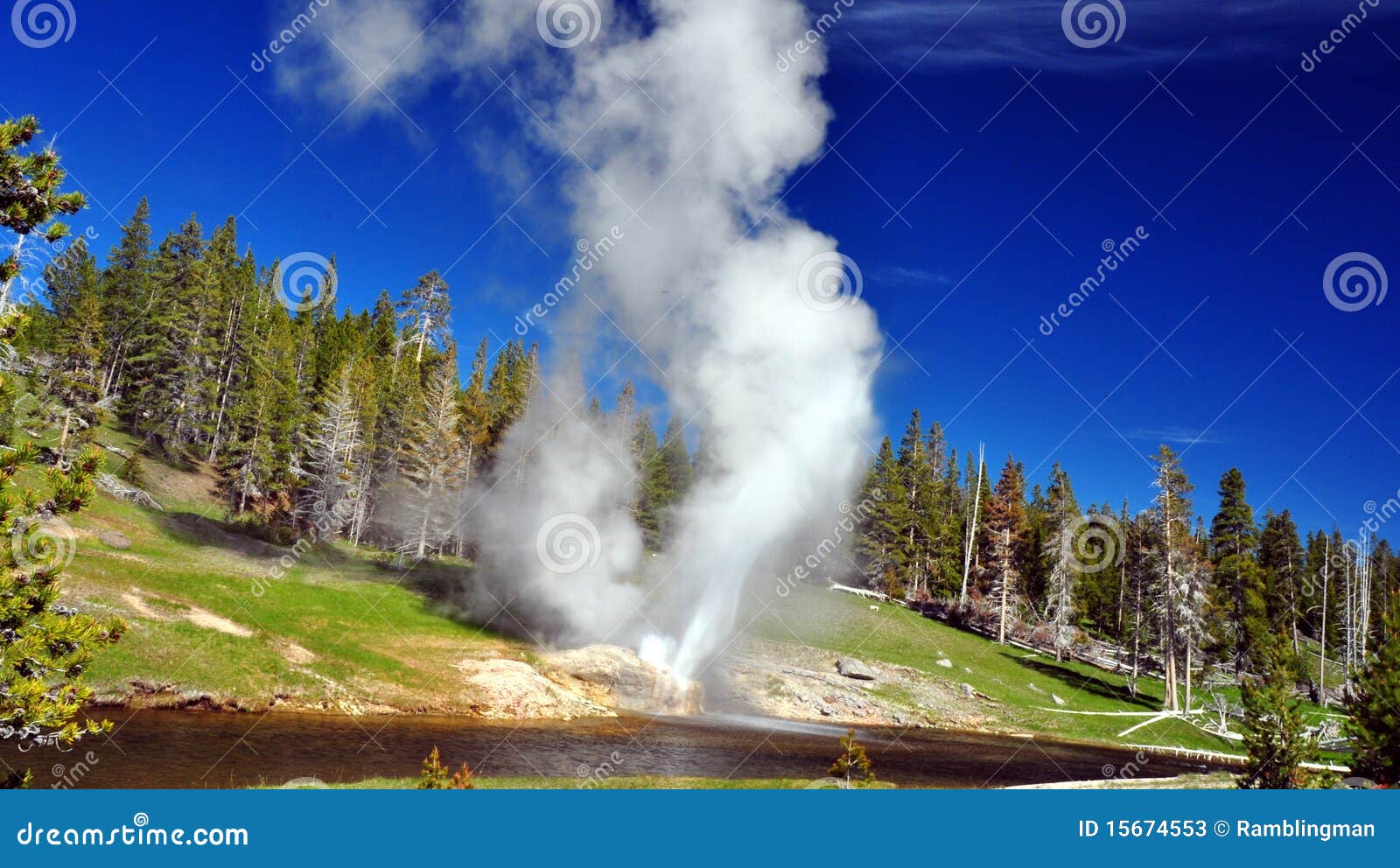 Riverside Geyser. Yellowstone National Park Stock Image - Image of ...