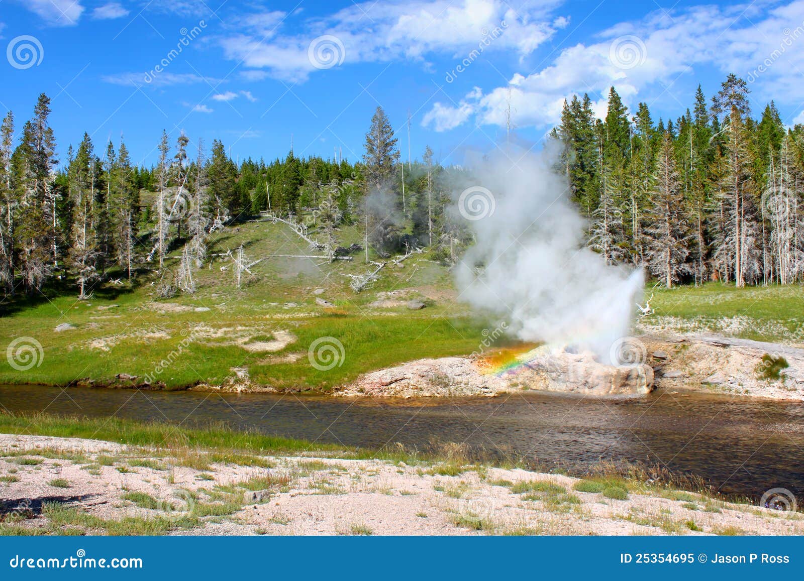 Riverside Geyser Yellowstone National Park Stock Image - Image of ...