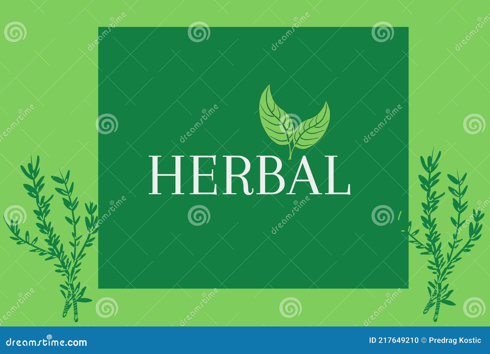 Herbal symbol stock illustration. Illustration of diagram - 217649210